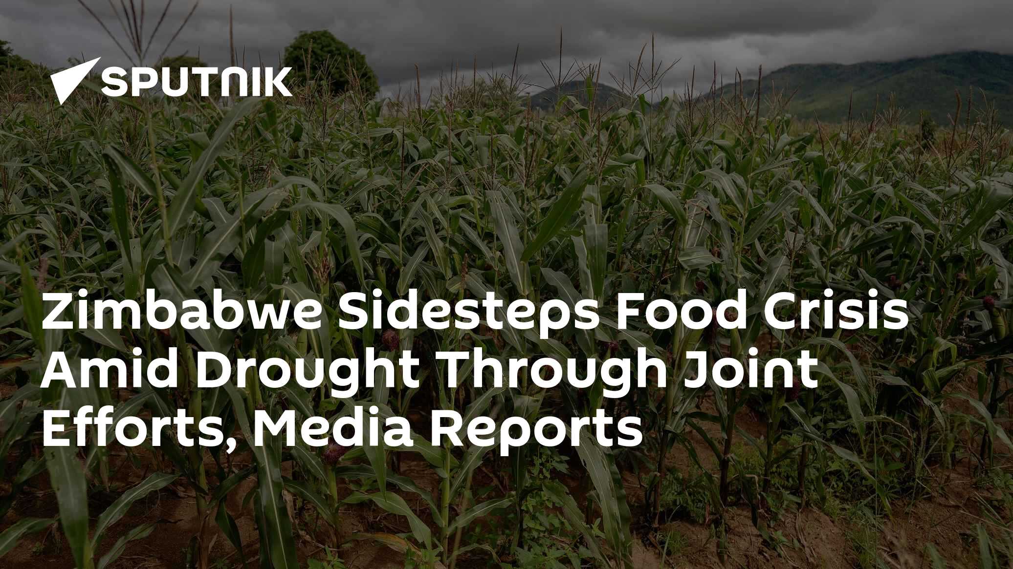 Zimbabwe Sidesteps Food Crisis Amid Drought Through Joint Efforts ...