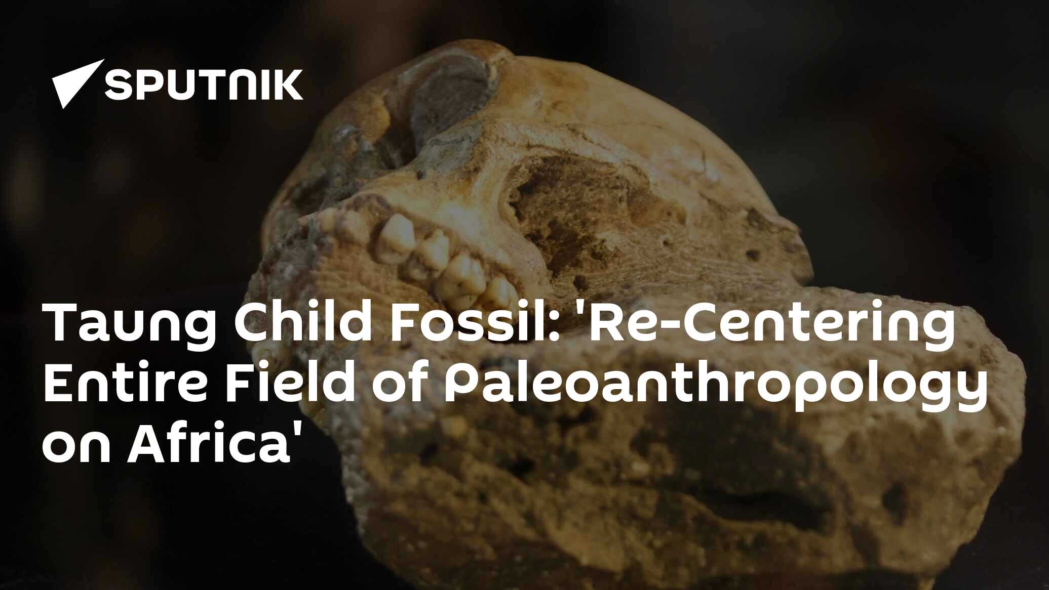 Taung Child Fossil: 'Re-Centering Entire Field of Paleoanthropology on Africa' - 07.03.2025 ...