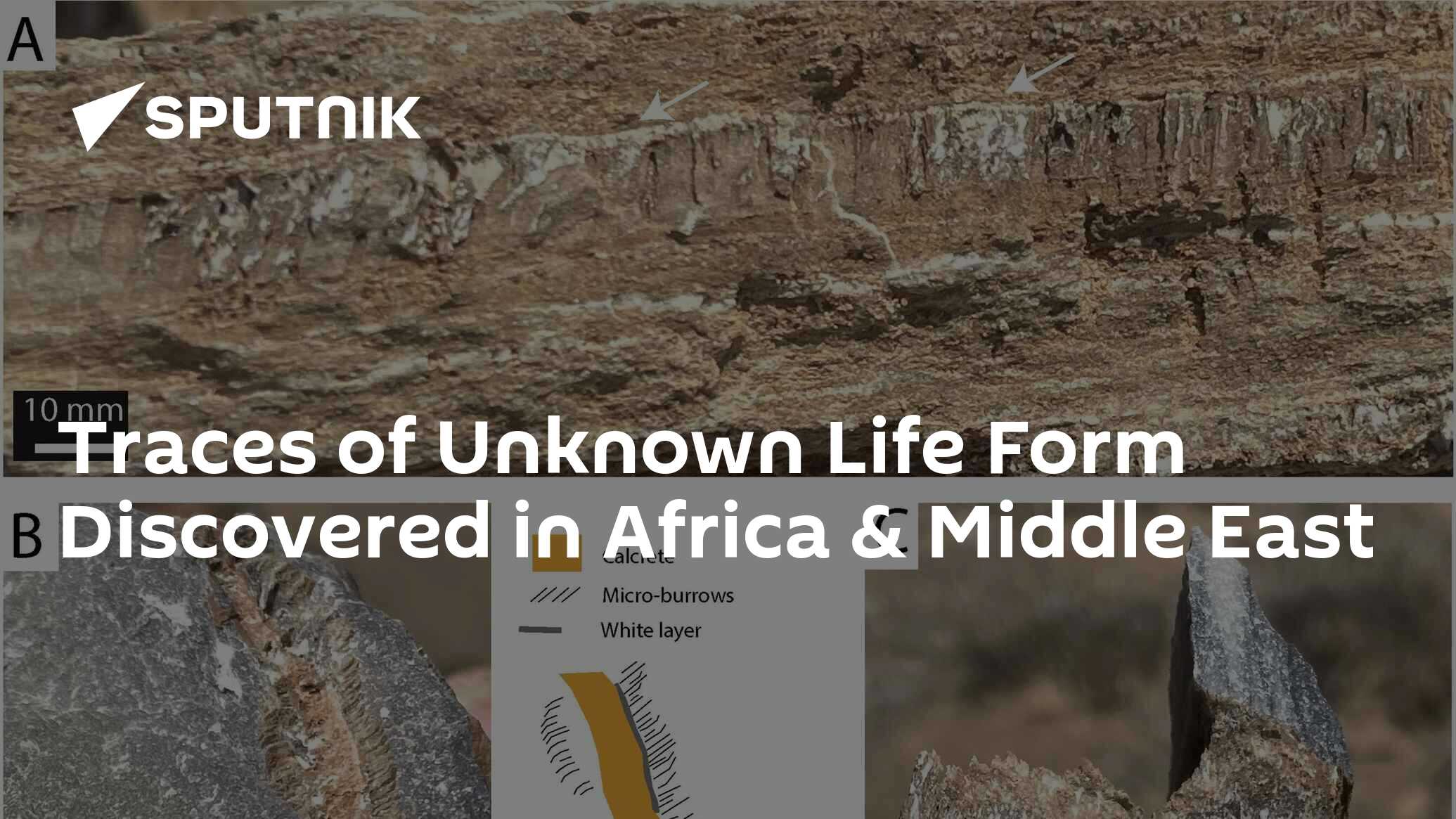 Traces of Unknown Life Form Discovered in Africa & Middle East - 22.03. ...