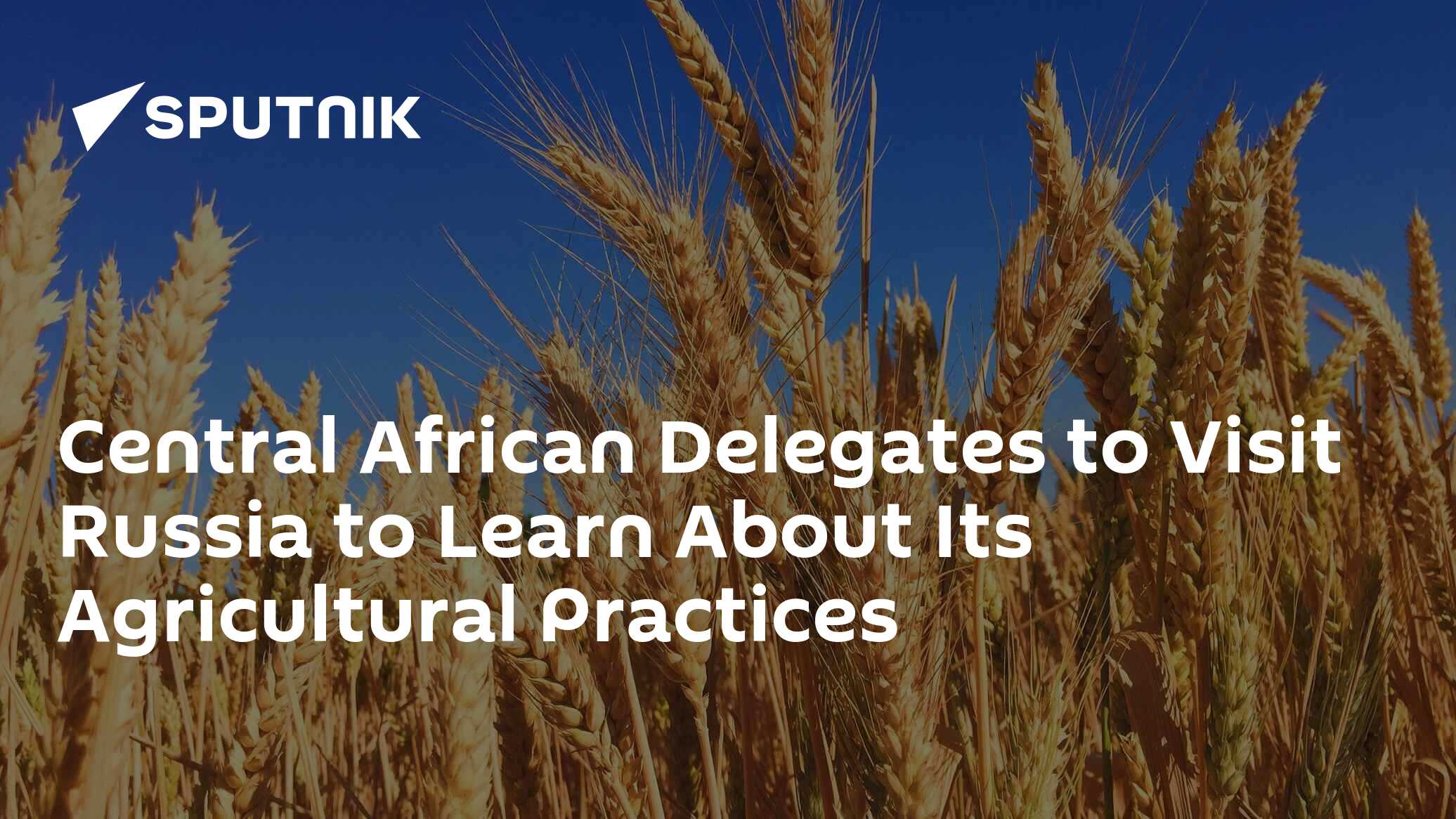 Central African Delegates to Visit Russia to Learn About Its ...