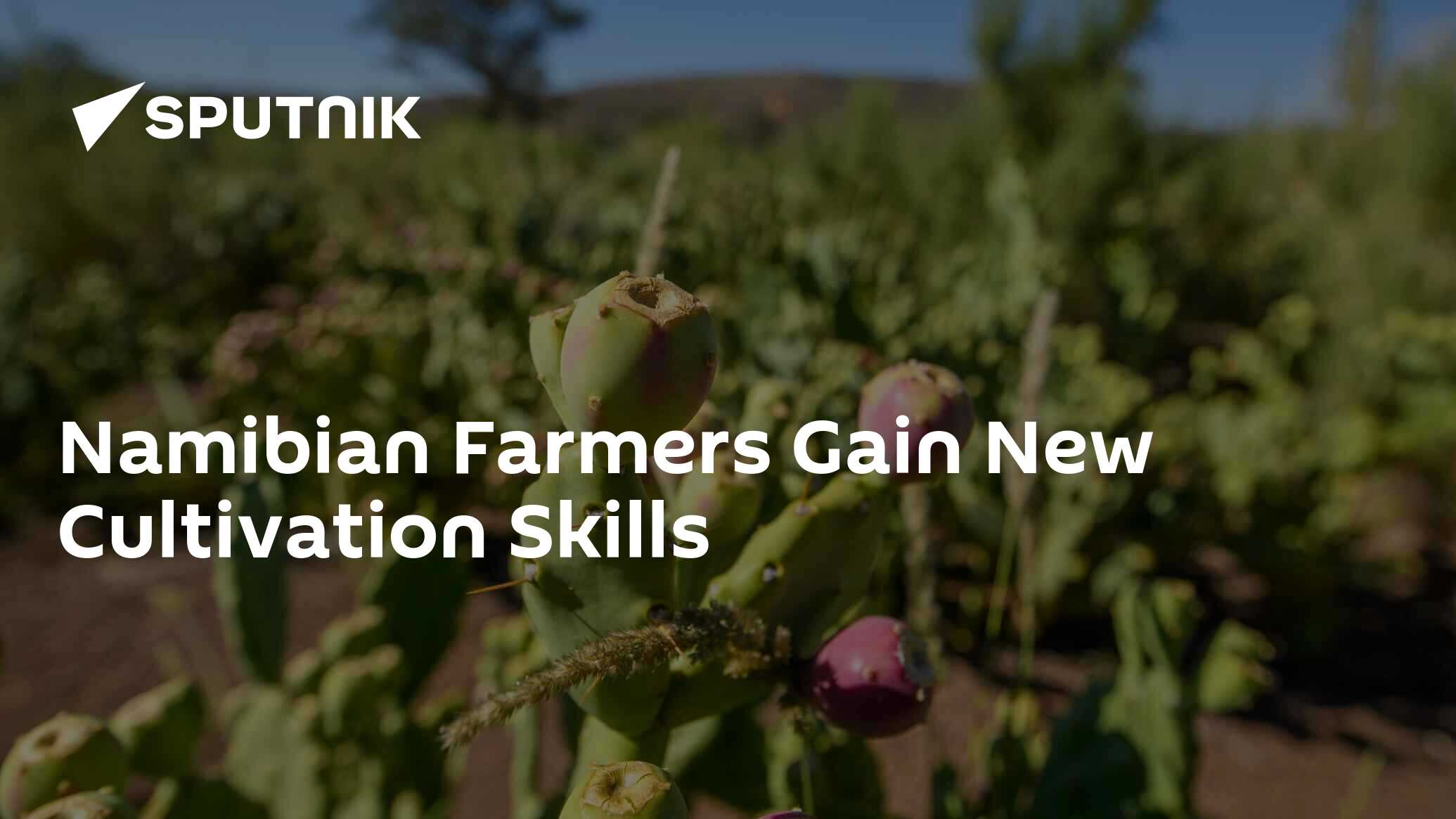 Namibian Farmers Gain New Cultivation Skills - 14.04.2025, Sputnik Africa