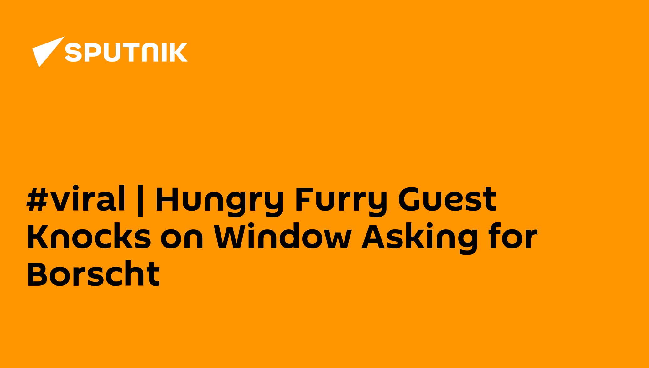 #viral | Hungry Furry Guest Knocks on Window Asking for Borscht - 17.04 ...