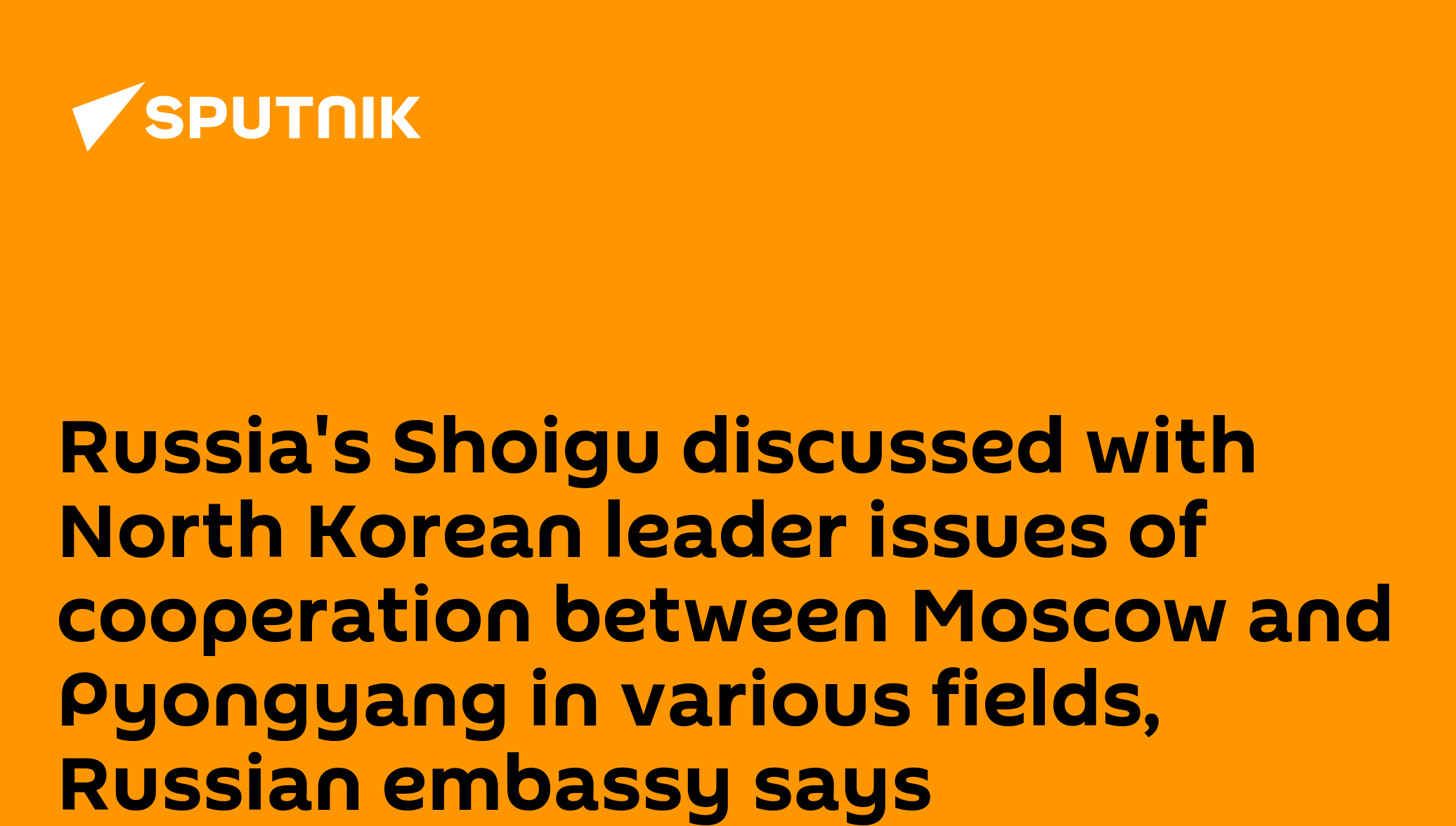 Russia's Shoigu discussed with North Korean leader issues of ...