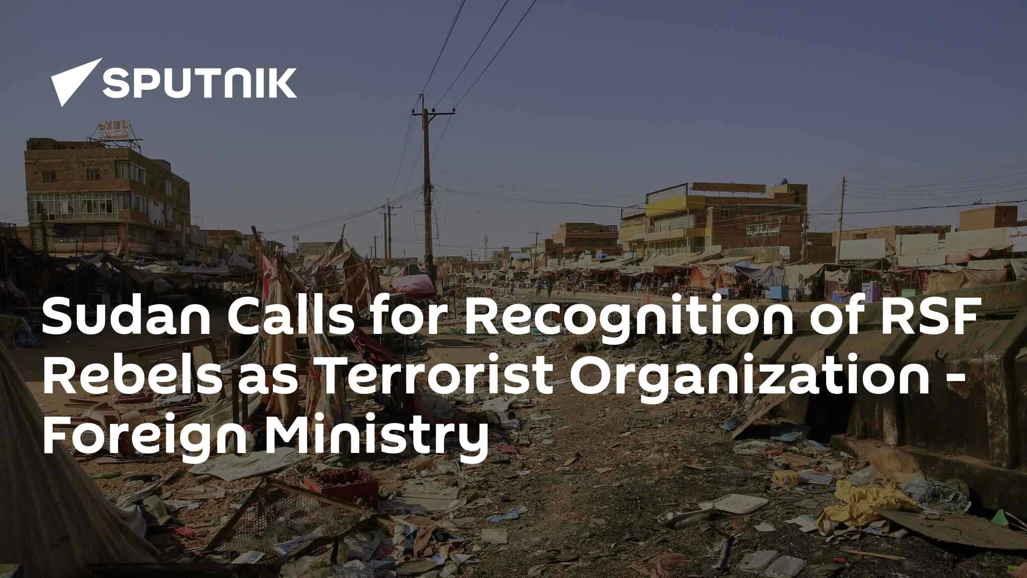 Sudan Calls for Recognition of RSF Rebels as Terrorist Organization ...