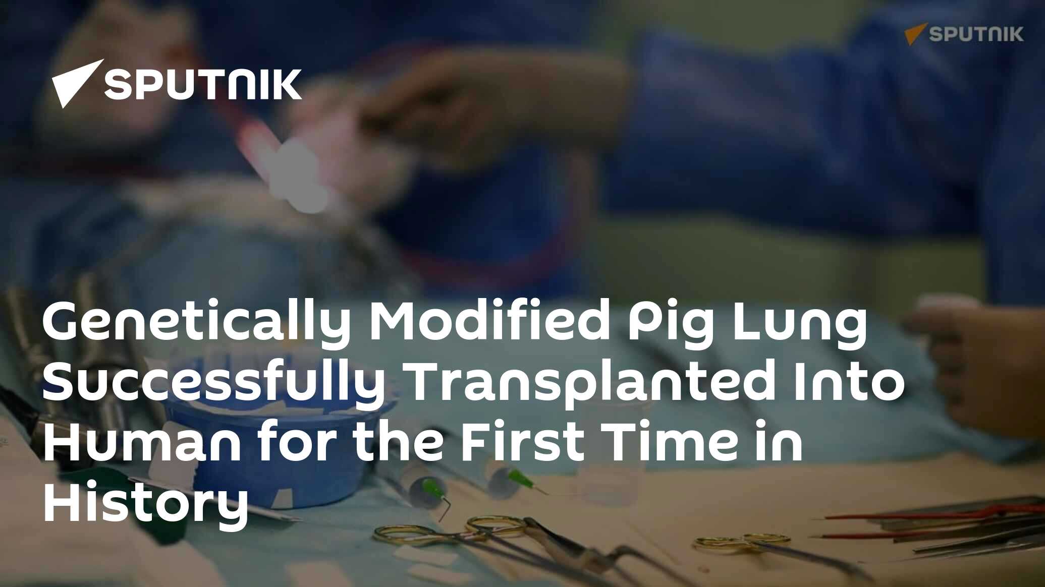 Genetically Modified Pig Lung Successfully Transplanted Into Human for ...