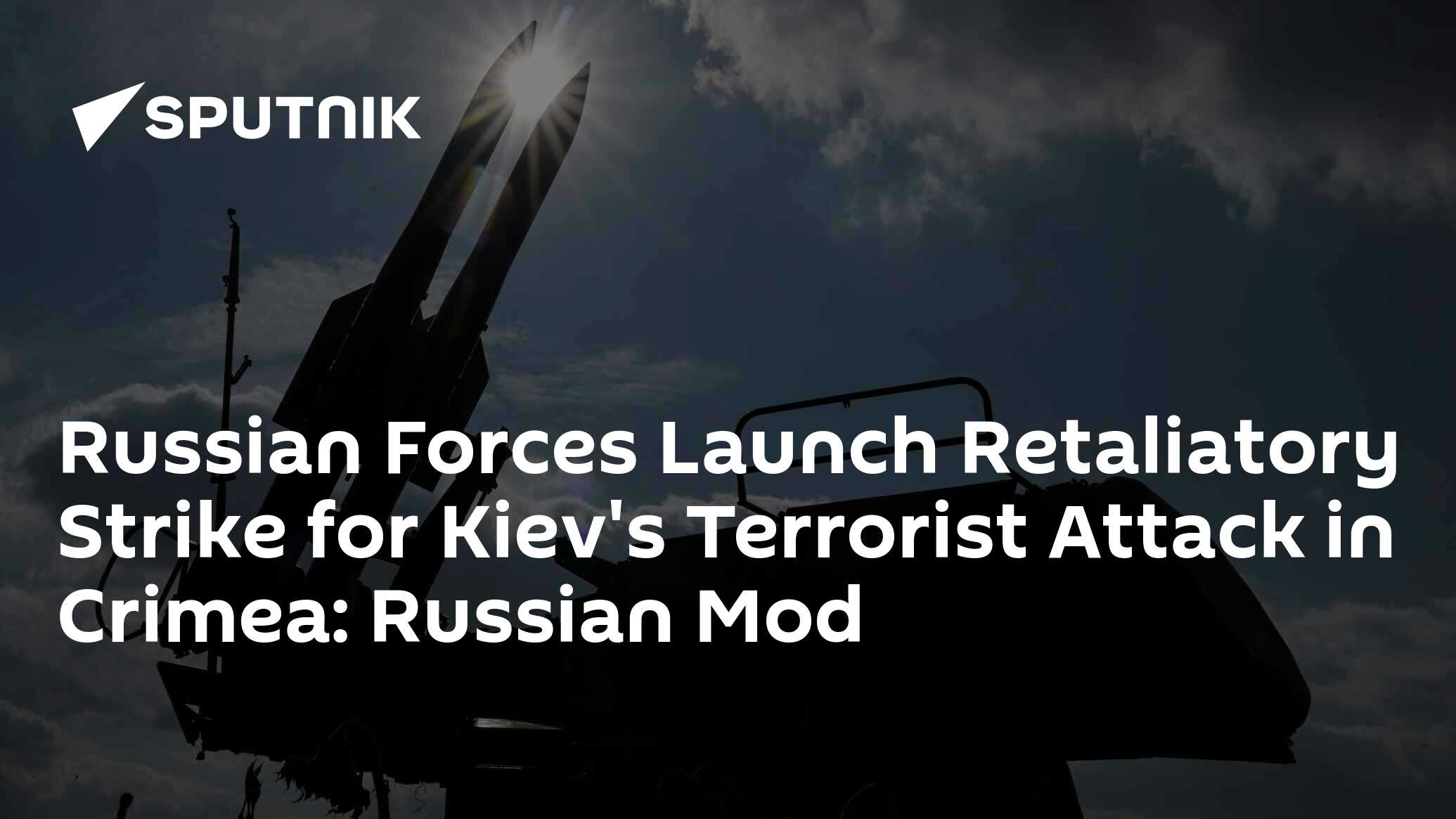 Russian Forces Launch Retaliatory Strike for Kiev's Terrorist Attack in Crimea: Russian Mod - 23 ...