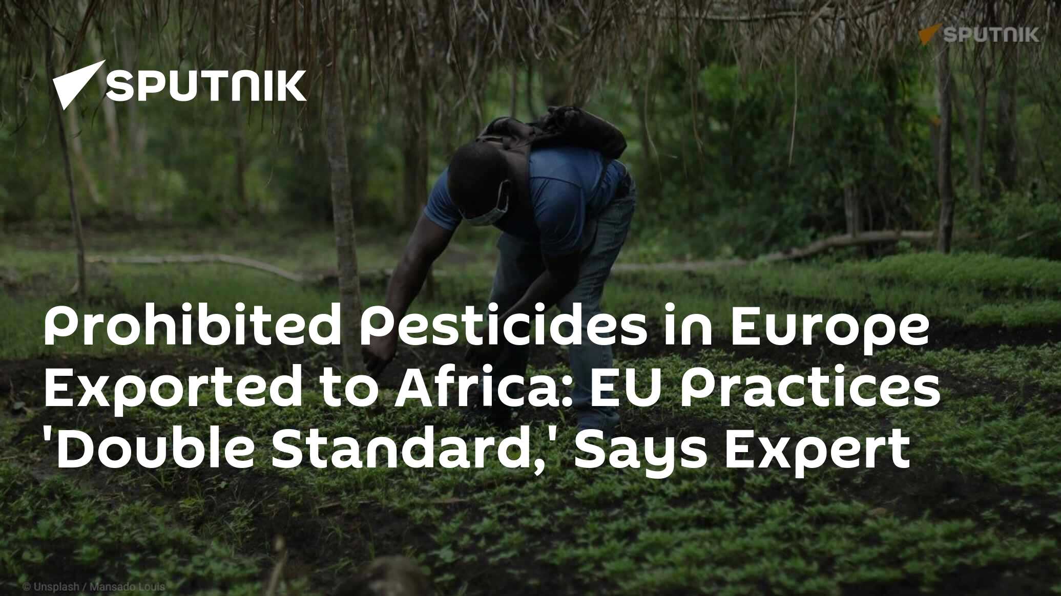 Prohibited Pesticides in Europe Exported to Africa: EU Practices ...