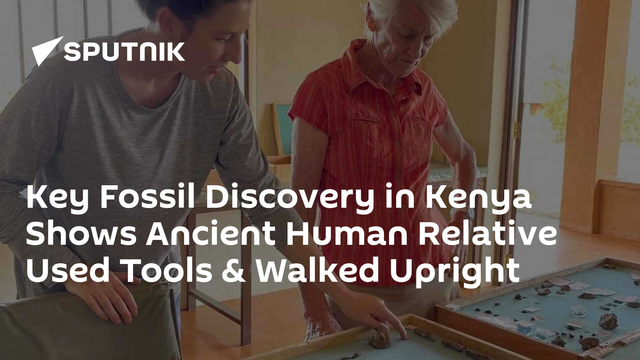 Key Fossil Discovery in Kenya Shows Ancient Human Relative Used Tools ...