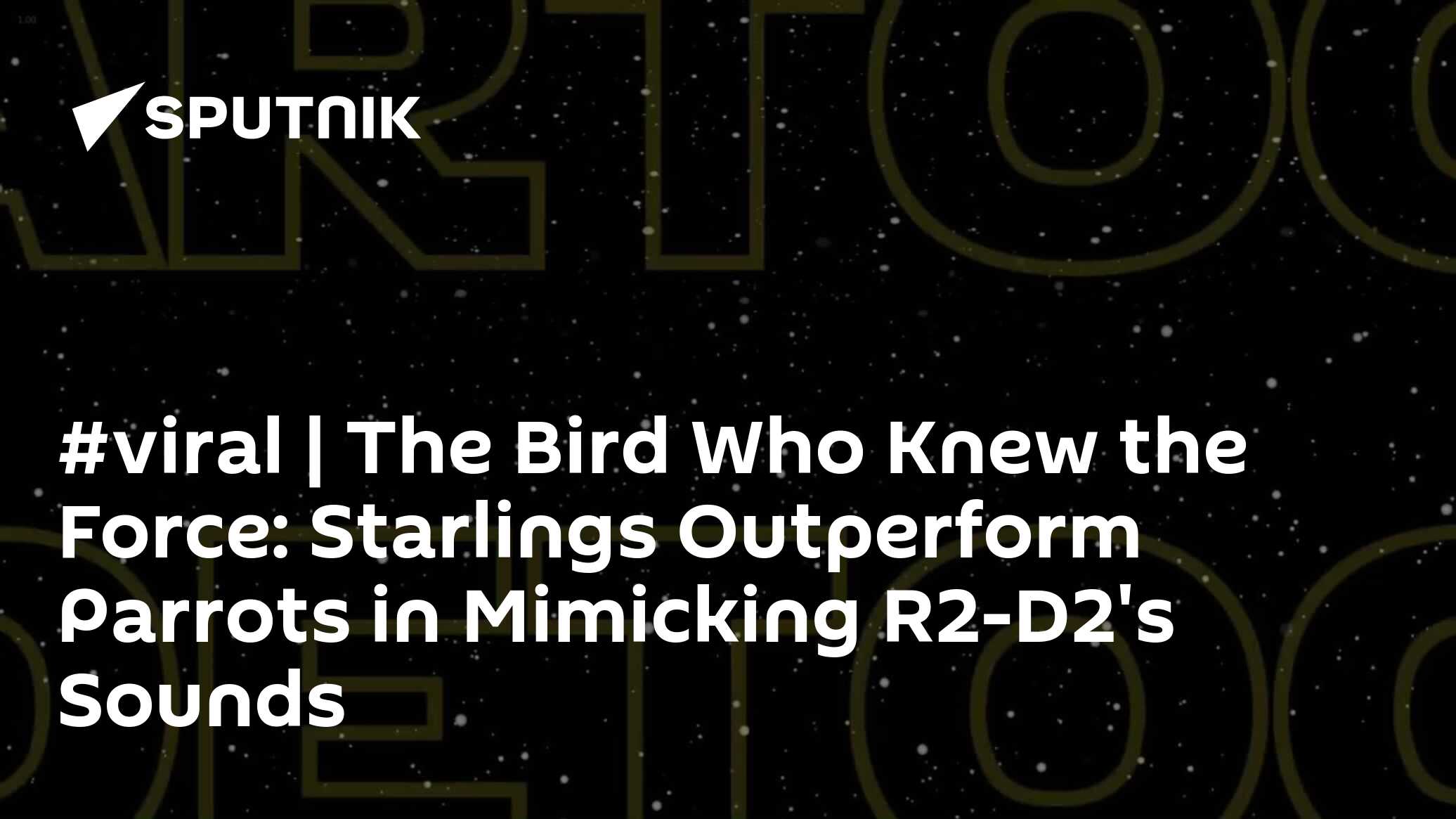 #viral | The Bird Who Knew the Force: Starlings Outperform Parrots in ...