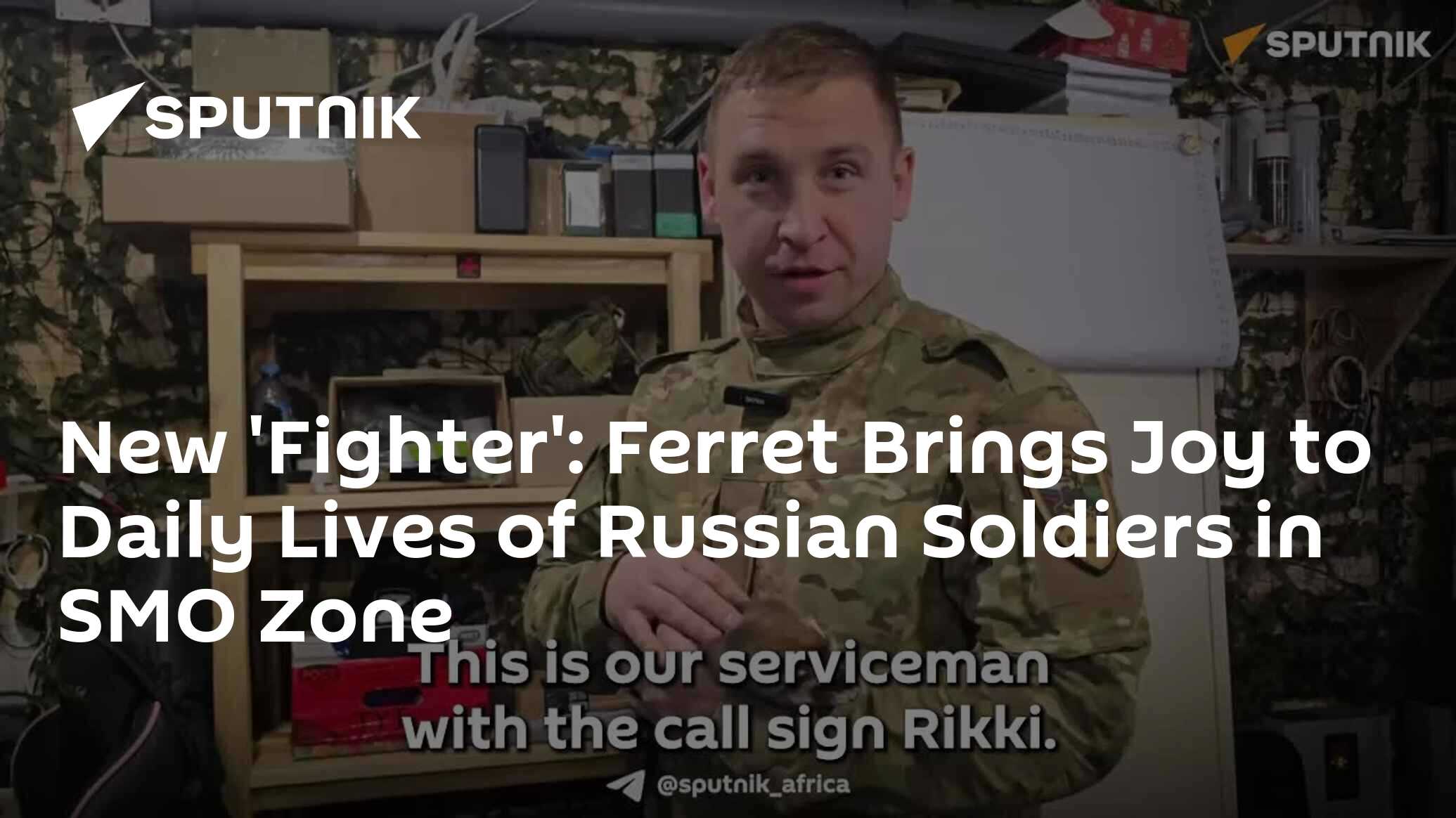 New 'Fighter': Ferret Brings Joy to Daily Lives of Russian Soldiers in ...