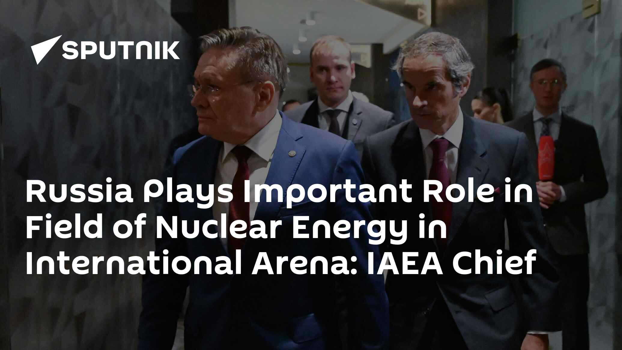 Russia Plays Important Role in Field of Nuclear Energy in International Arena: IAEA Chief - 15. ...