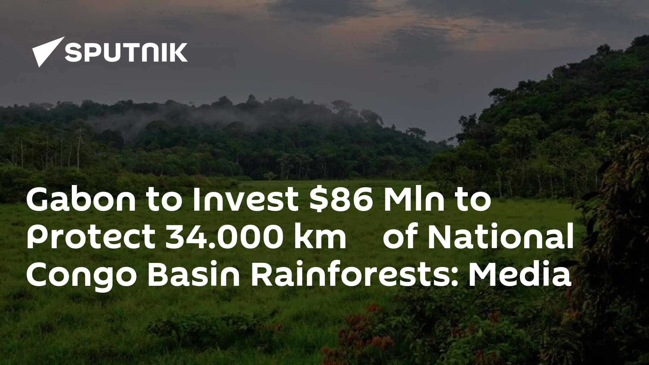 Gabon to Invest $86 Mln to Protect 34.000 km² of National Congo Basin ...