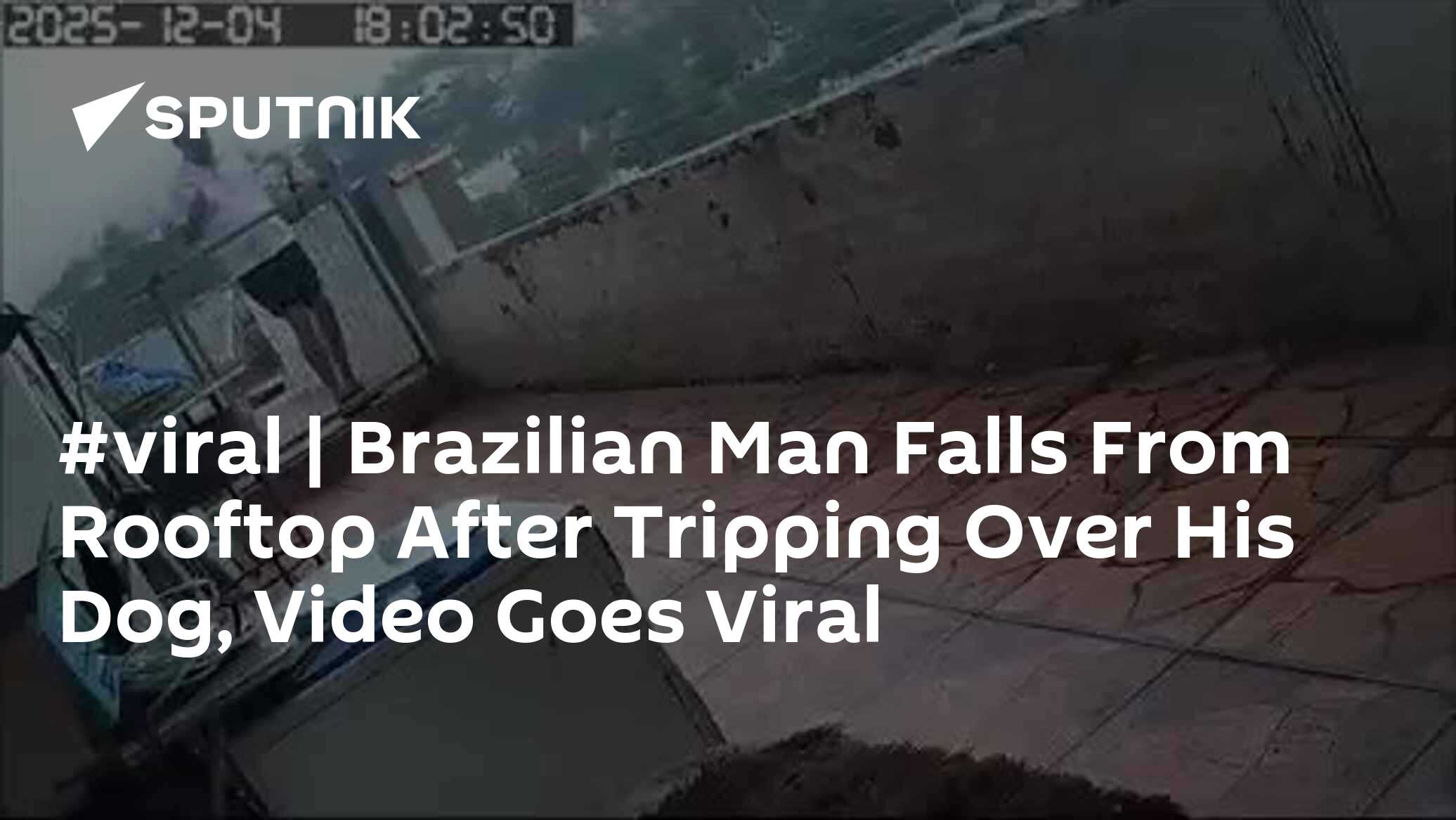 #viral | Brazilian Man Falls From Rooftop After Tripping Over His Dog ...