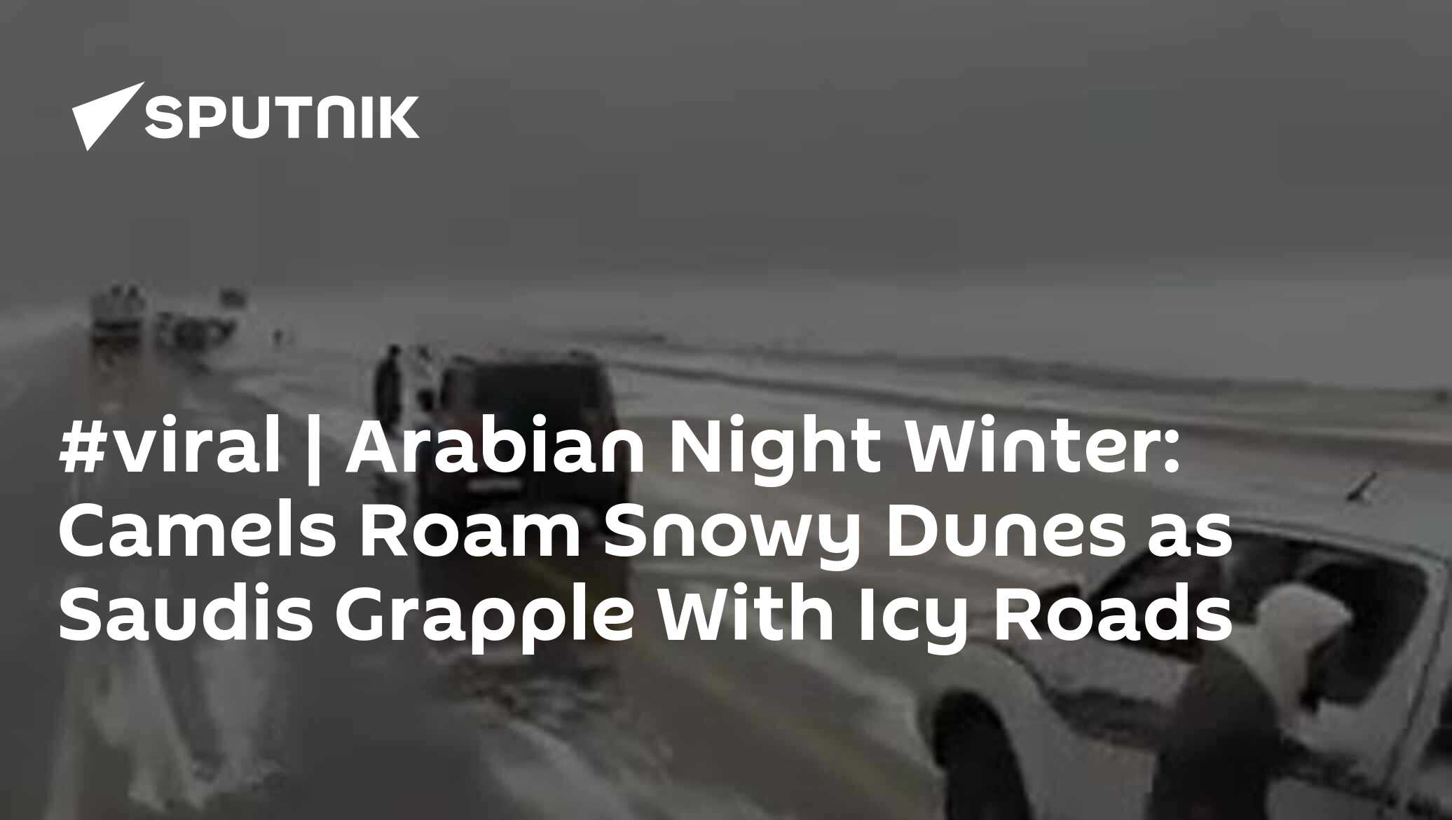 #viral | Arabian Night Winter: Camels Roam Snowy Dunes as Saudis ...