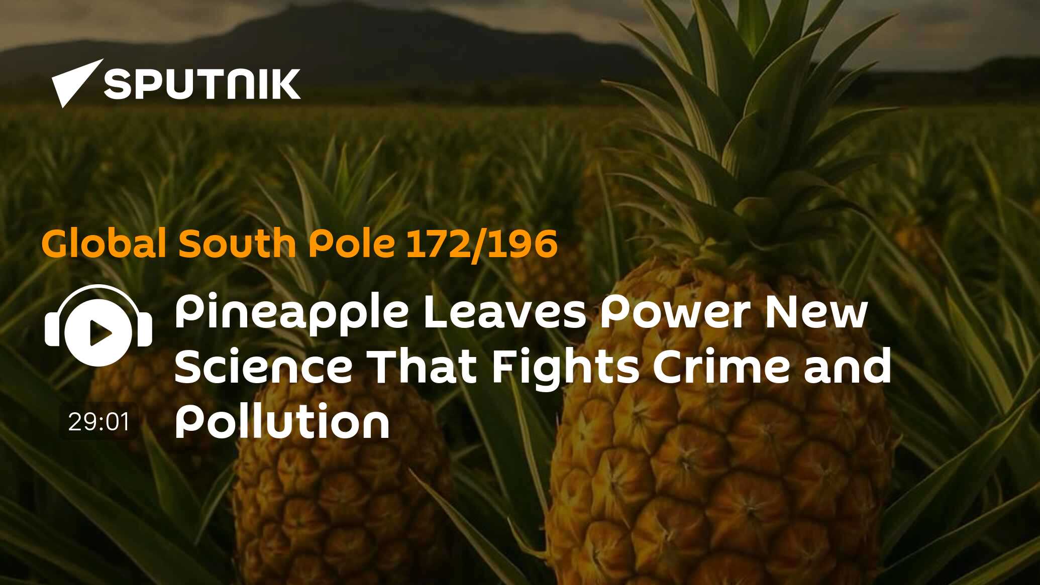 Pineapple Leaves Power New Science That Fights Crime and Pollution - 05 ...