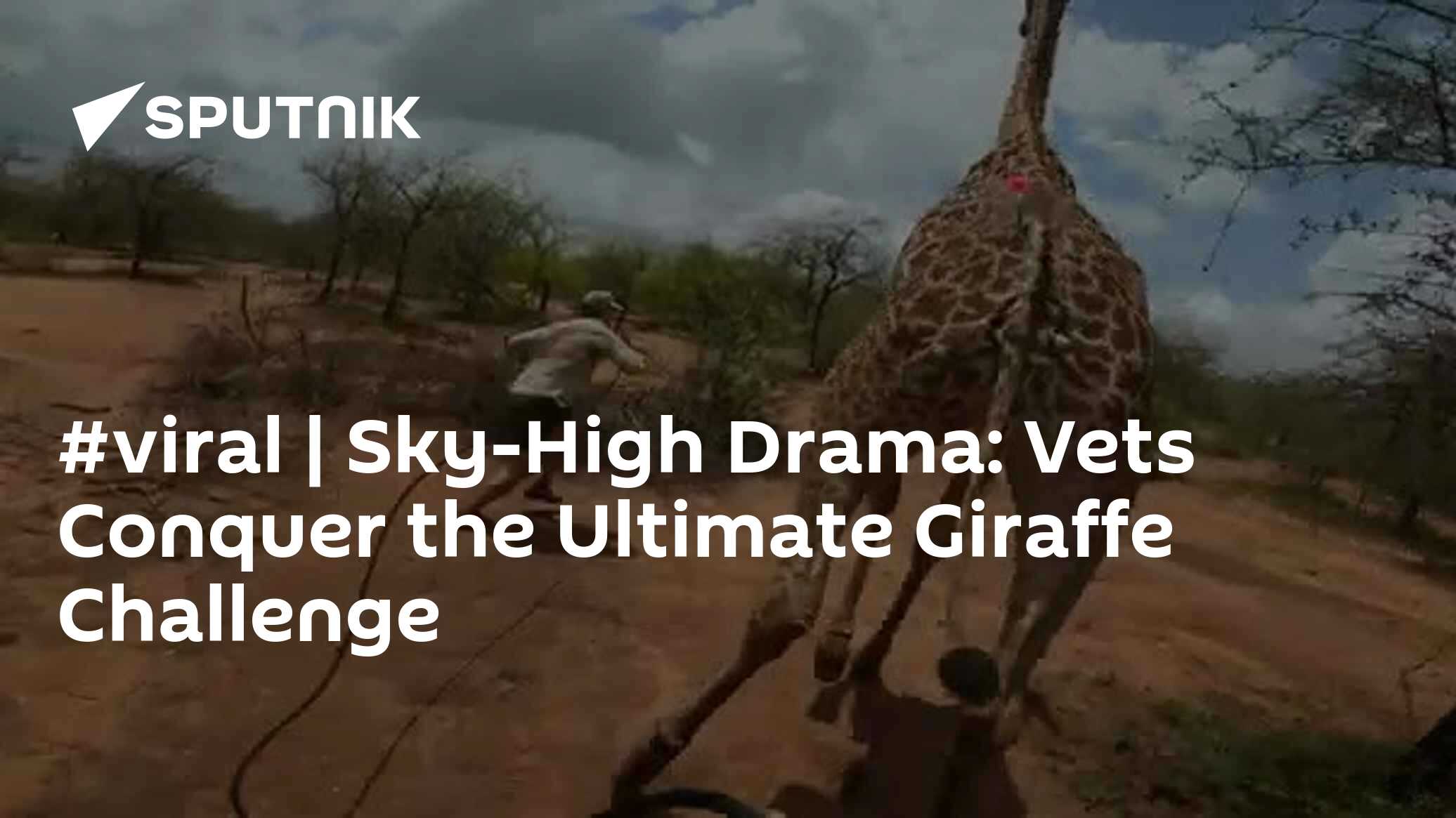 #viral | Sky-High Drama: Vets Conquer the Ultimate Giraffe Challenge ...