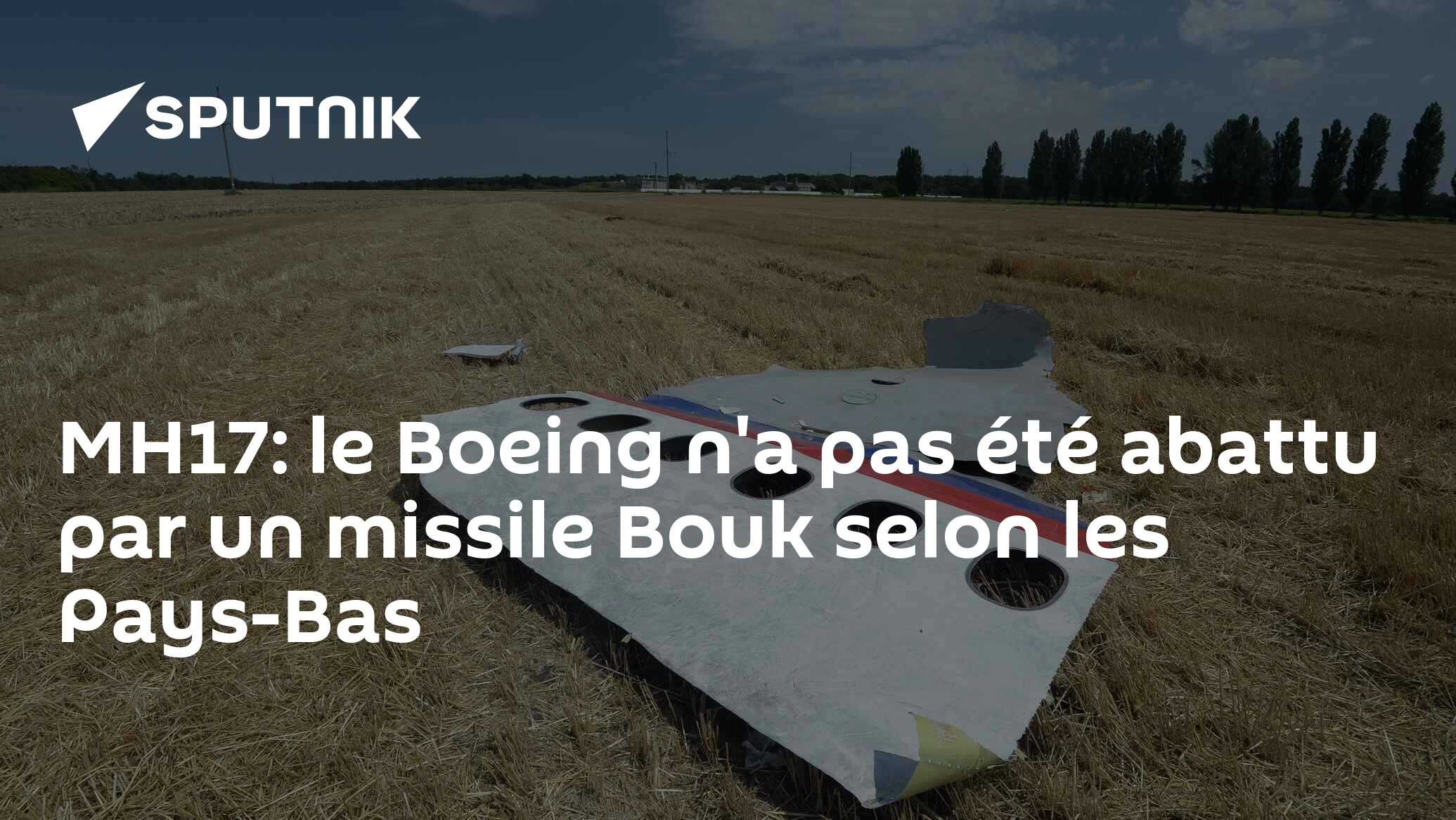 MH17: le Boeing n'a pas été abattu par un missile Bouk selon les Pays-Bas - 20.03.2015, Sputnik ...