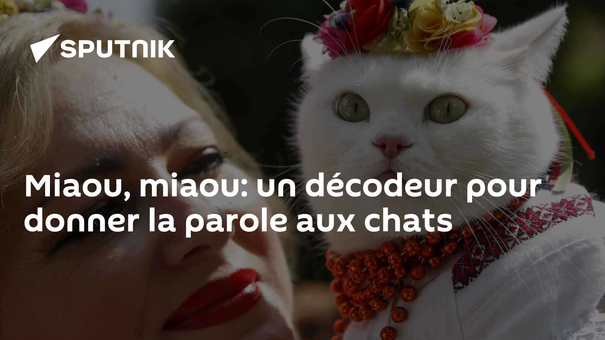 Miaou, miaou: un décodeur pour donner la parole aux chats - 30.04.2016 ...