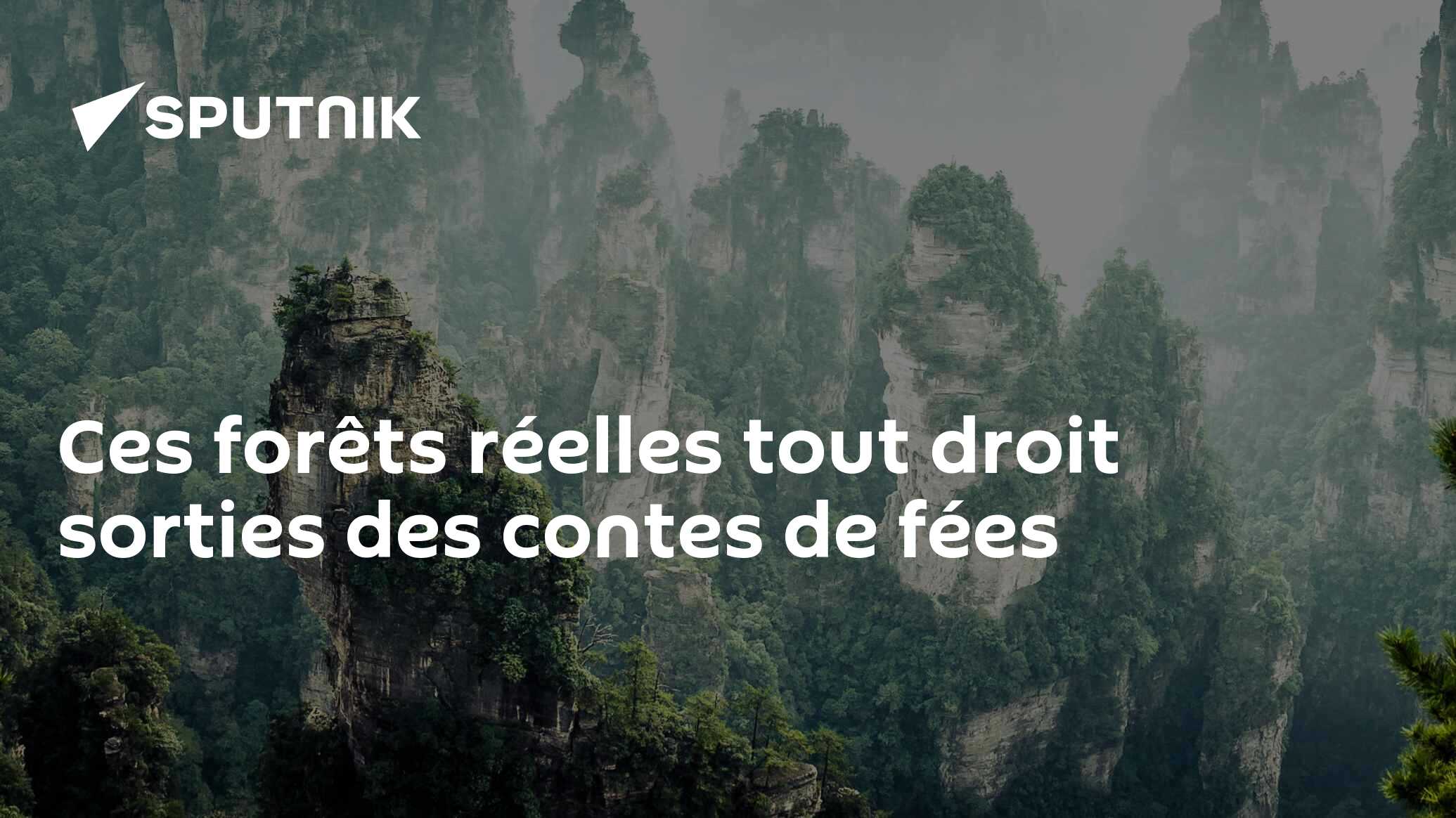 Ces forêts réelles tout droit sorties des contes de fées - 02.07.2016 ...