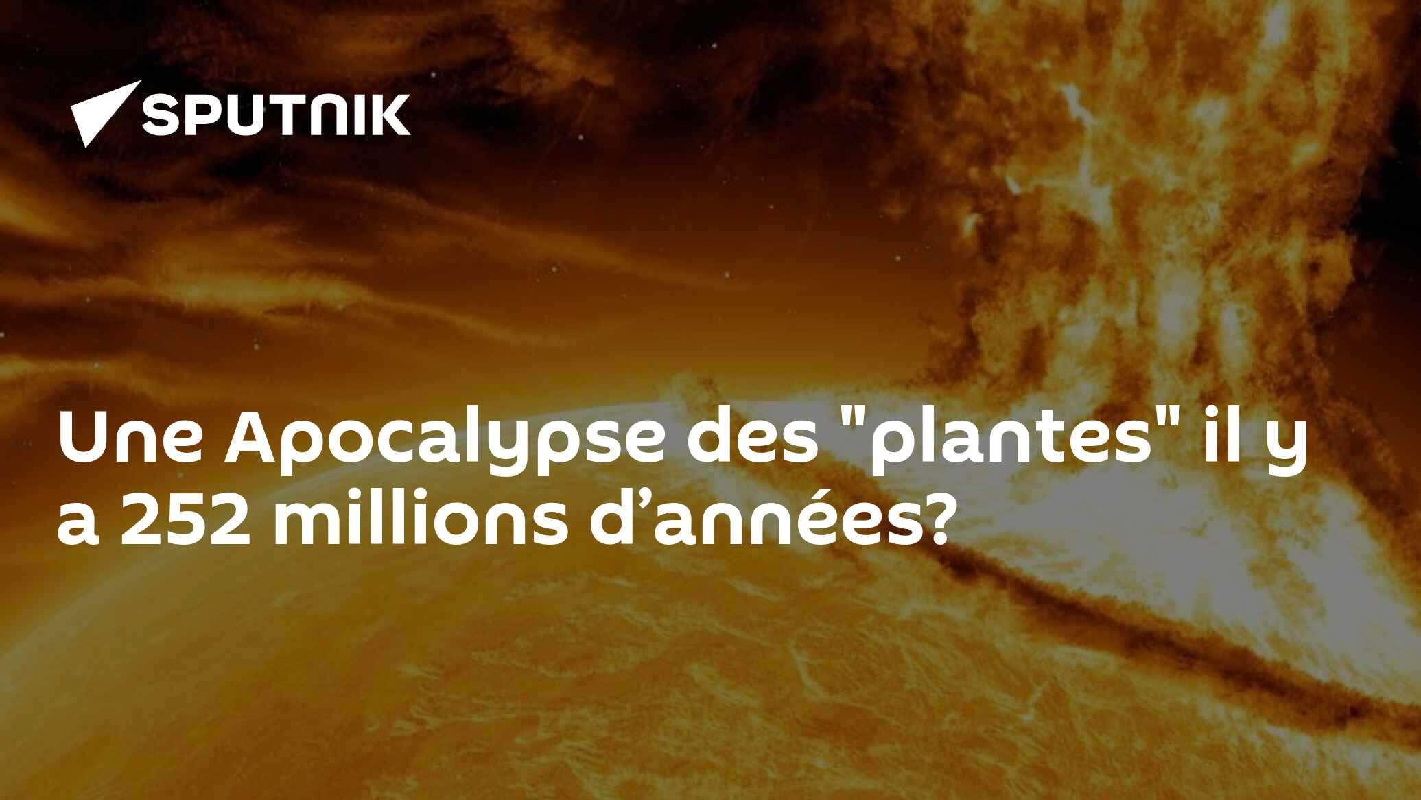 Une Apocalypse des "plantes" il y a 252 millions d’années? - 03.07.2016 ...