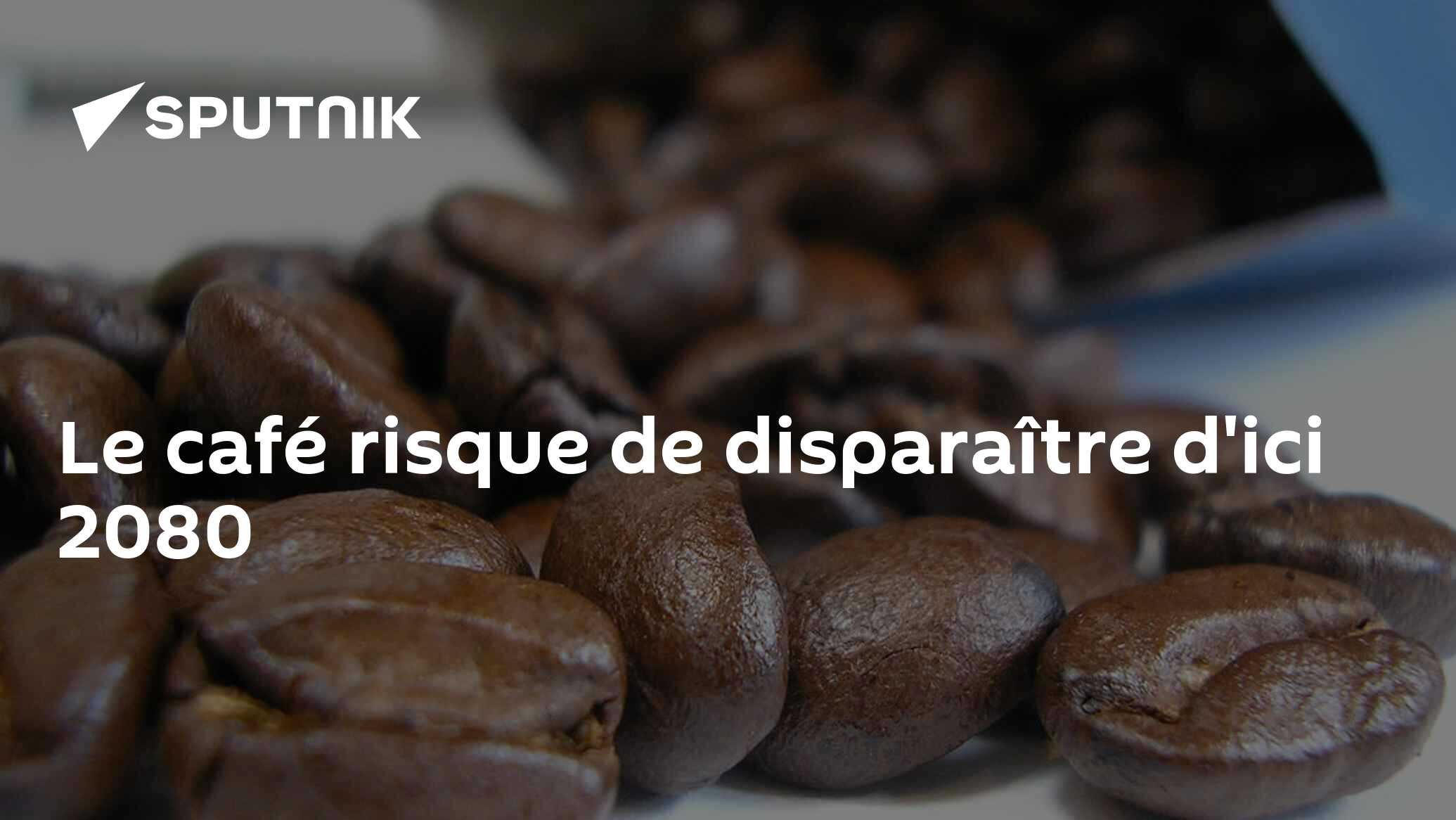 Le café risque de disparaître d'ici 2080 - 05.09.2016, Sputnik Afrique