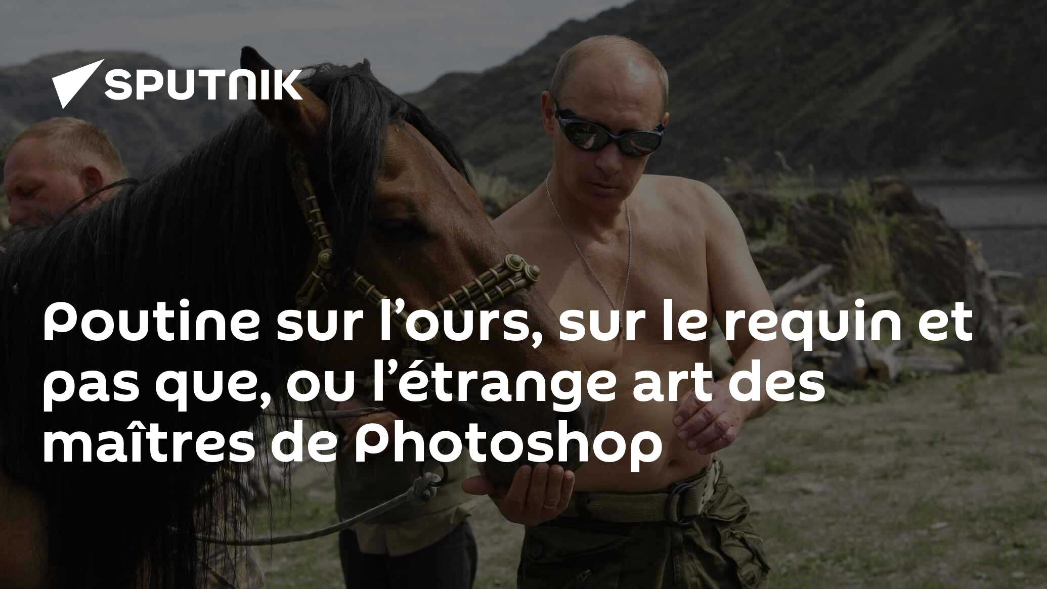 Poutine sur l’ours, sur le requin et pas que, ou l’étrange art des ...
