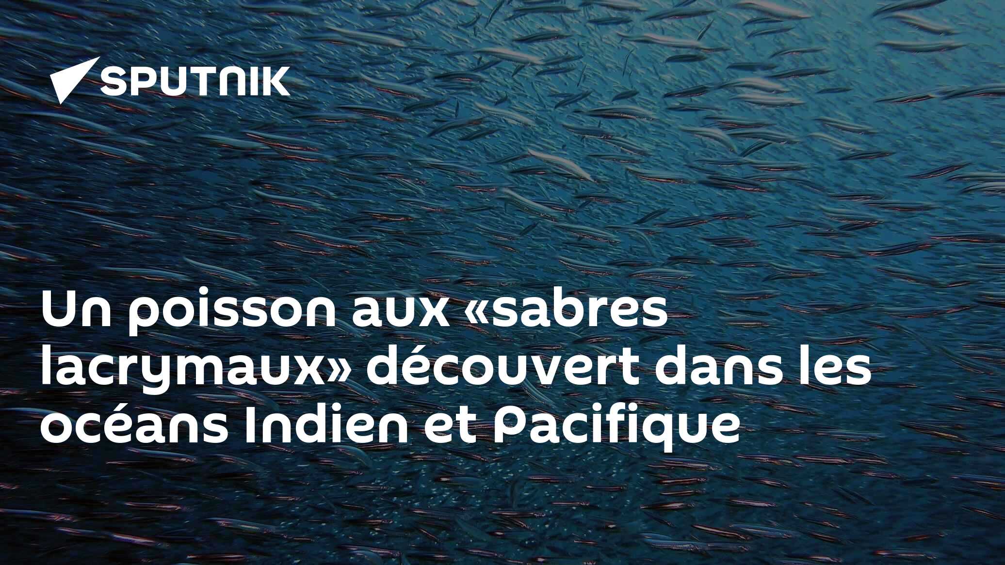 Un poisson aux «sabres lacrymaux» découvert dans les océans Indien et ...