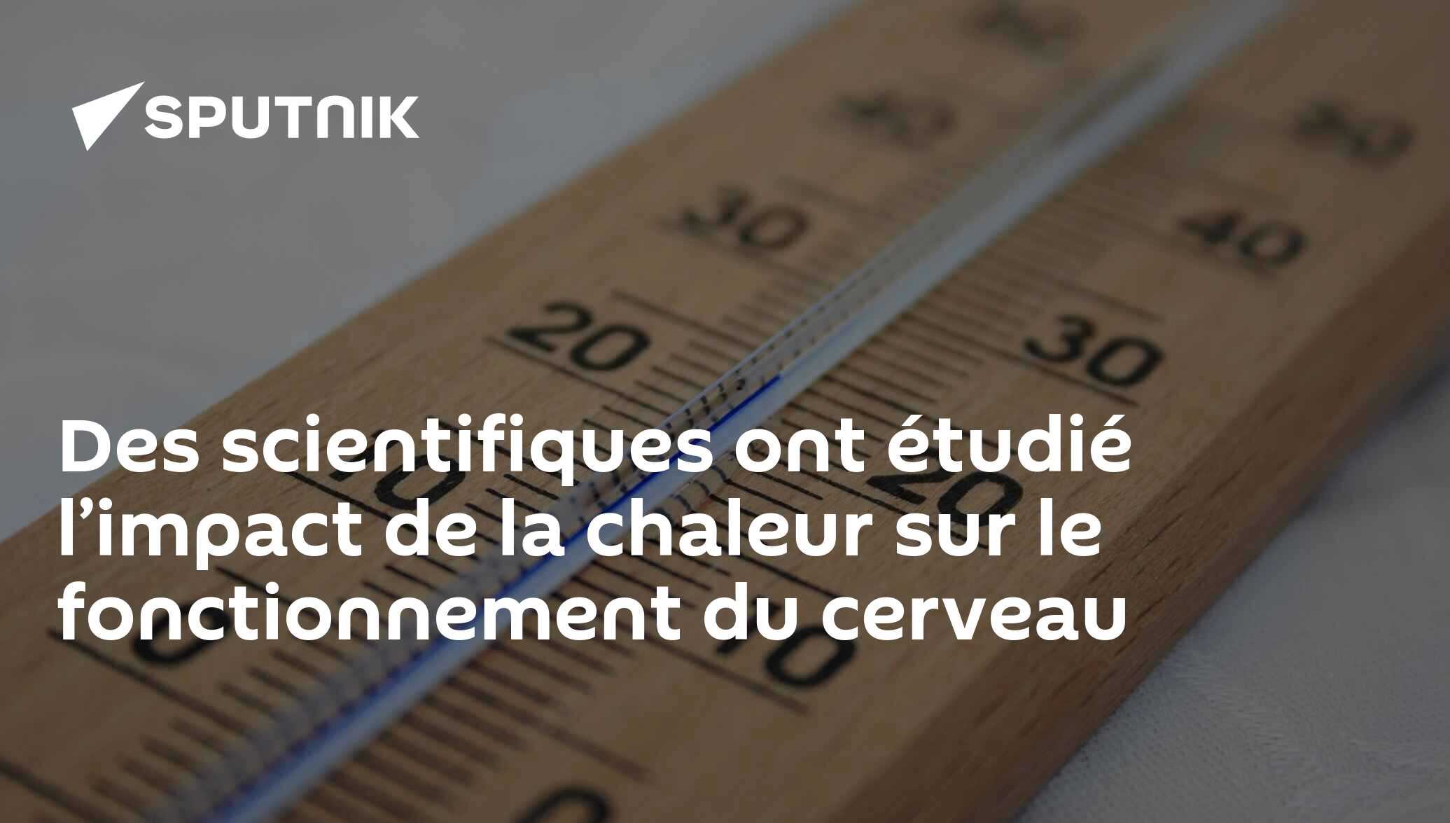 Des scientifiques ont étudié l’impact de la chaleur sur le ...