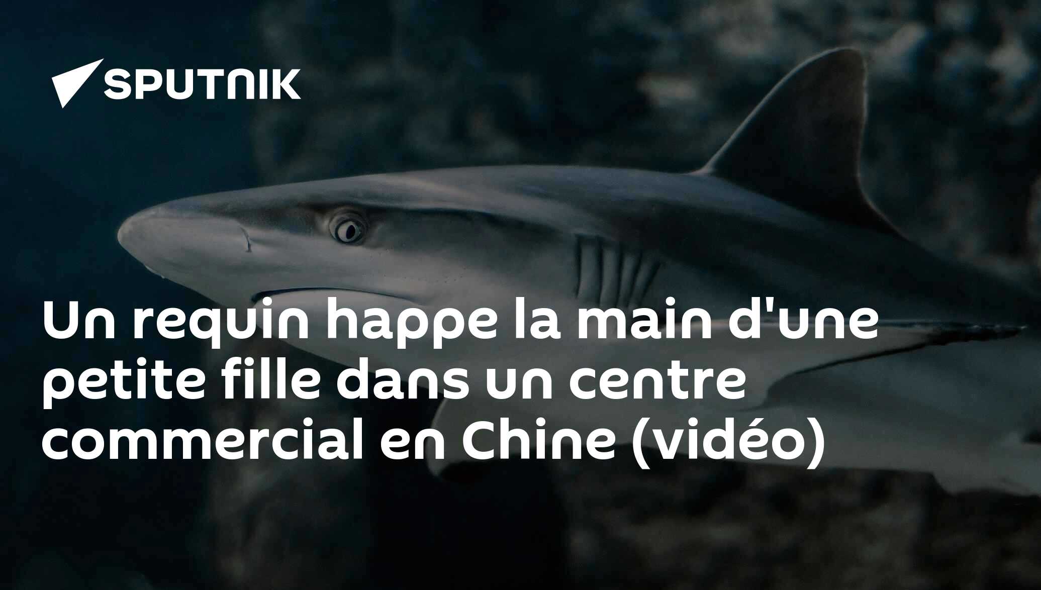 Un requin happe la main d'une petite fille dans un centre commercial en ...