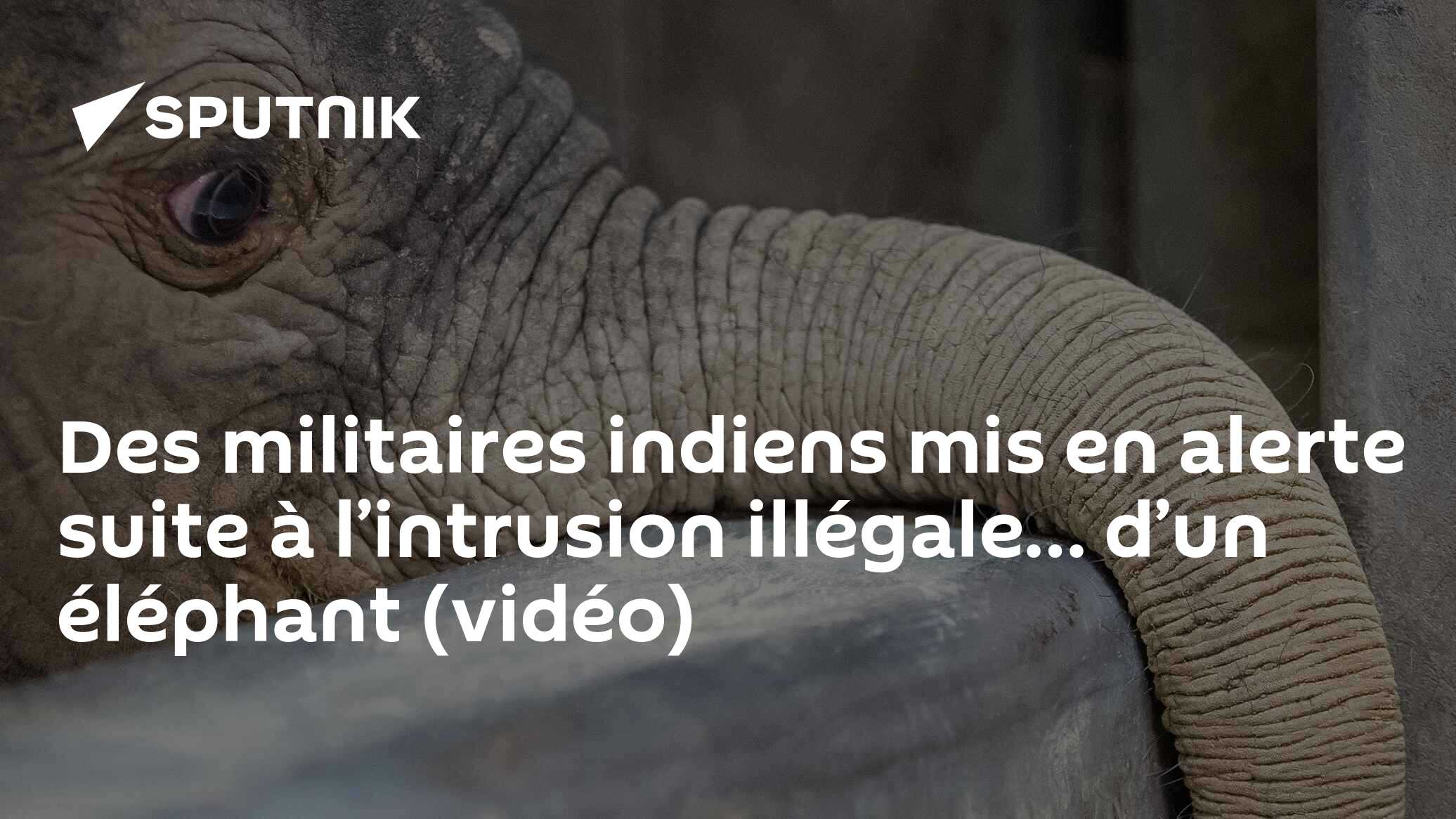 Des militaires indiens mis en alerte suite à l’intrusion illégale… d’un ...