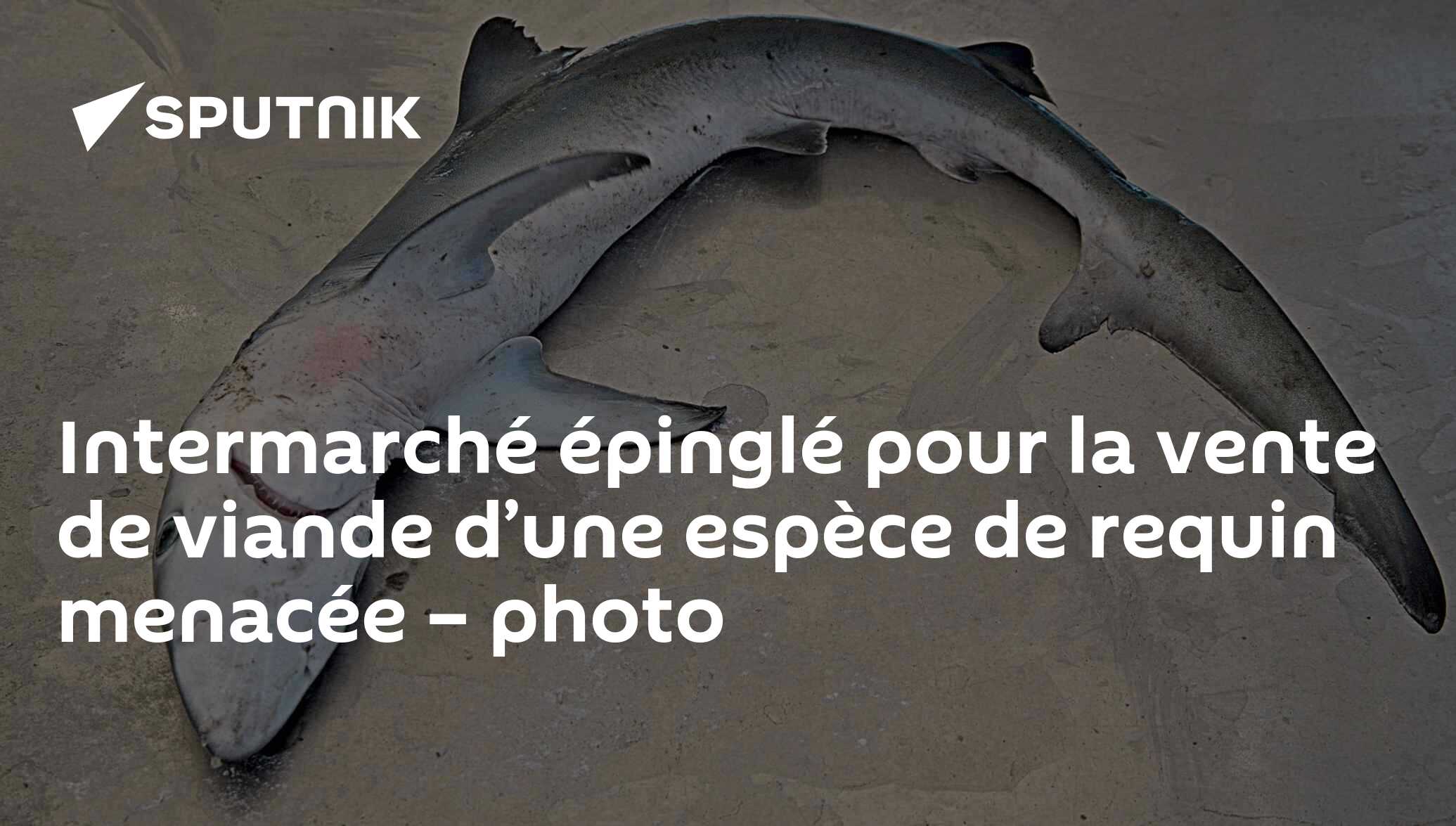 Intermarché épinglé pour la vente de viande d’une espèce de requin ...