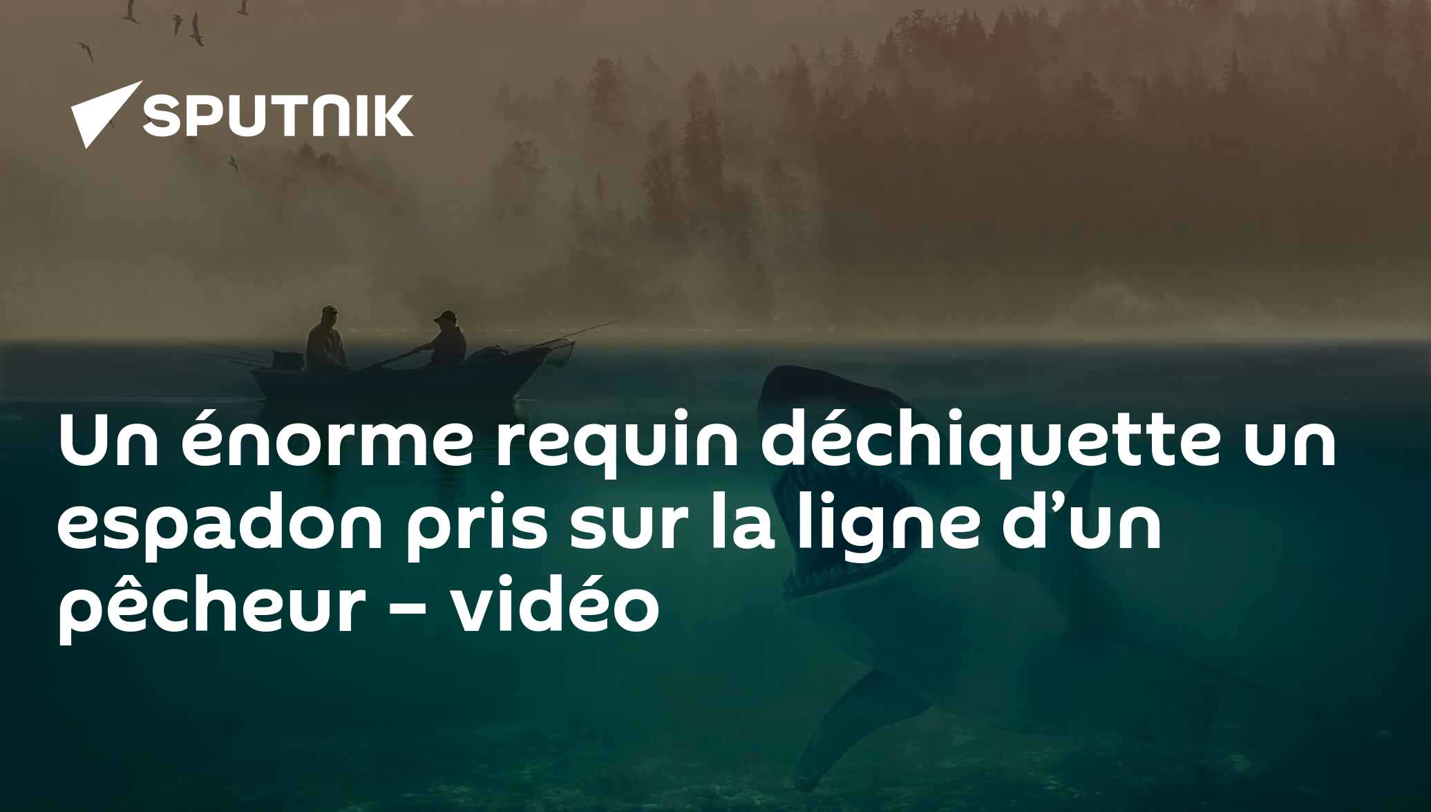 Un énorme requin déchiquette un espadon pris sur la ligne d’un pêcheur ...