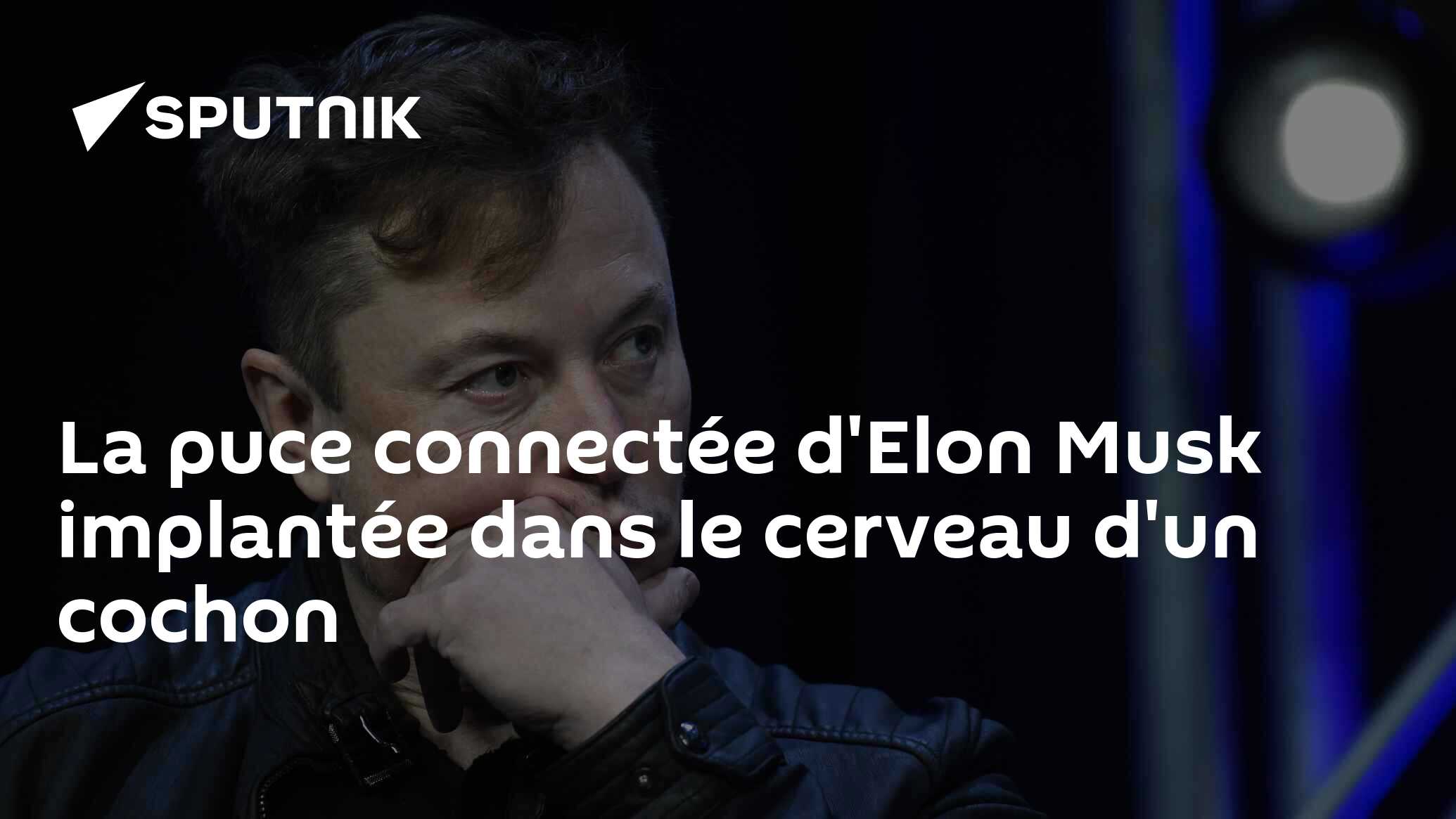 La puce connectée d'Elon Musk implantée dans le cerveau d'un cochon ...