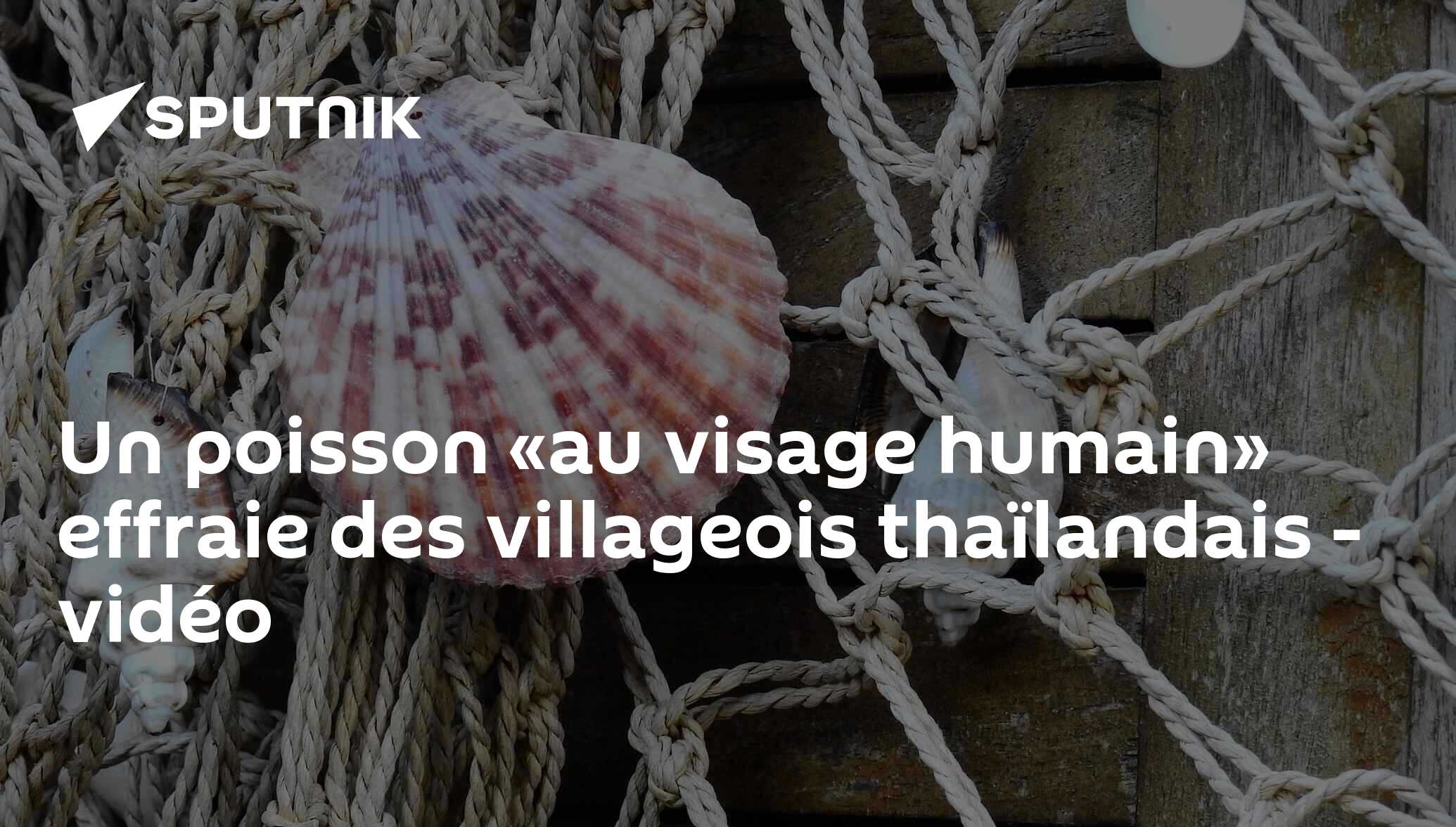 Un poisson «au visage humain» effraie des villageois thaïlandais ...