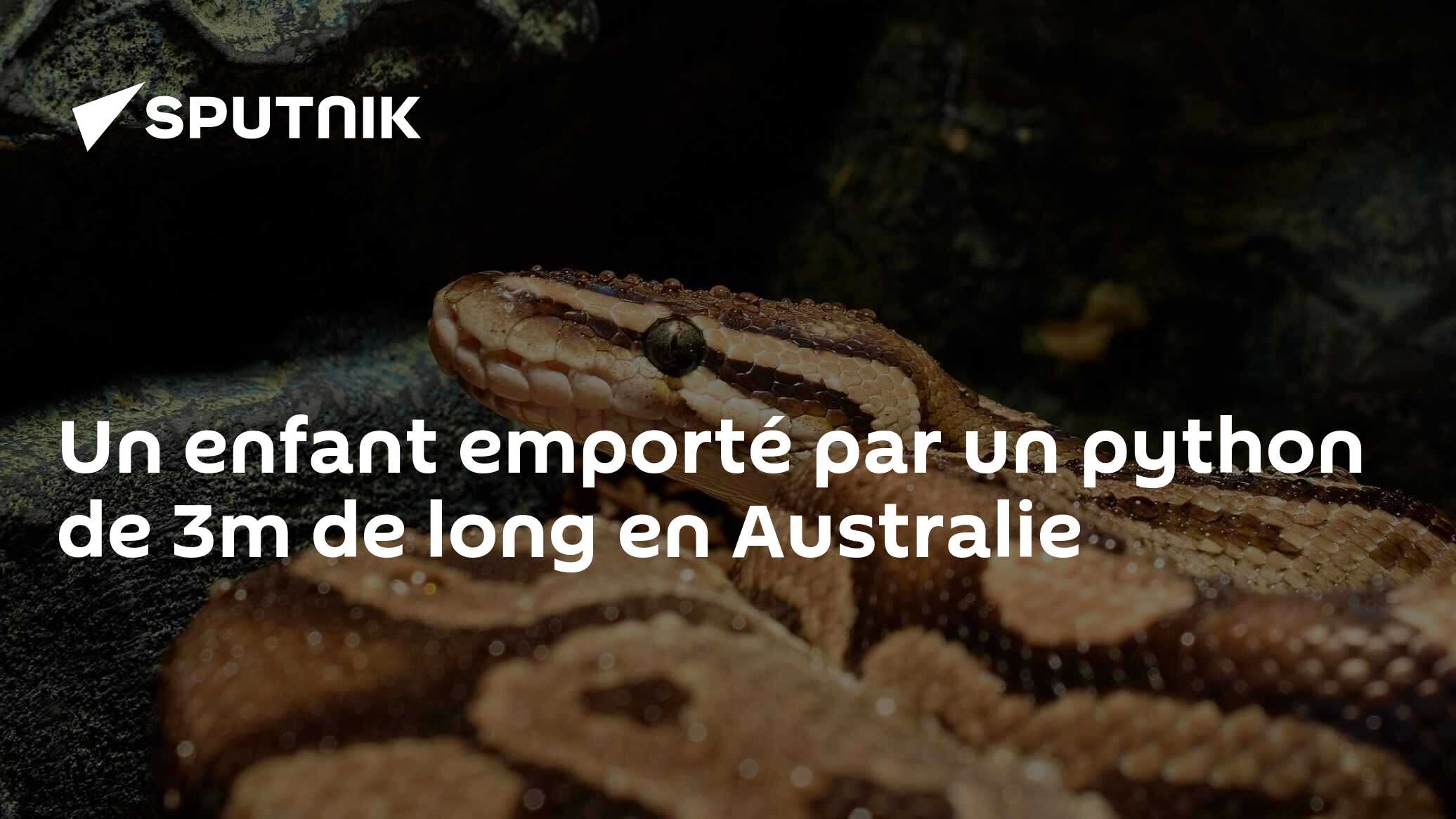 Un enfant emporté par un python de 3m de long en Australie - 26.11.2022 ...