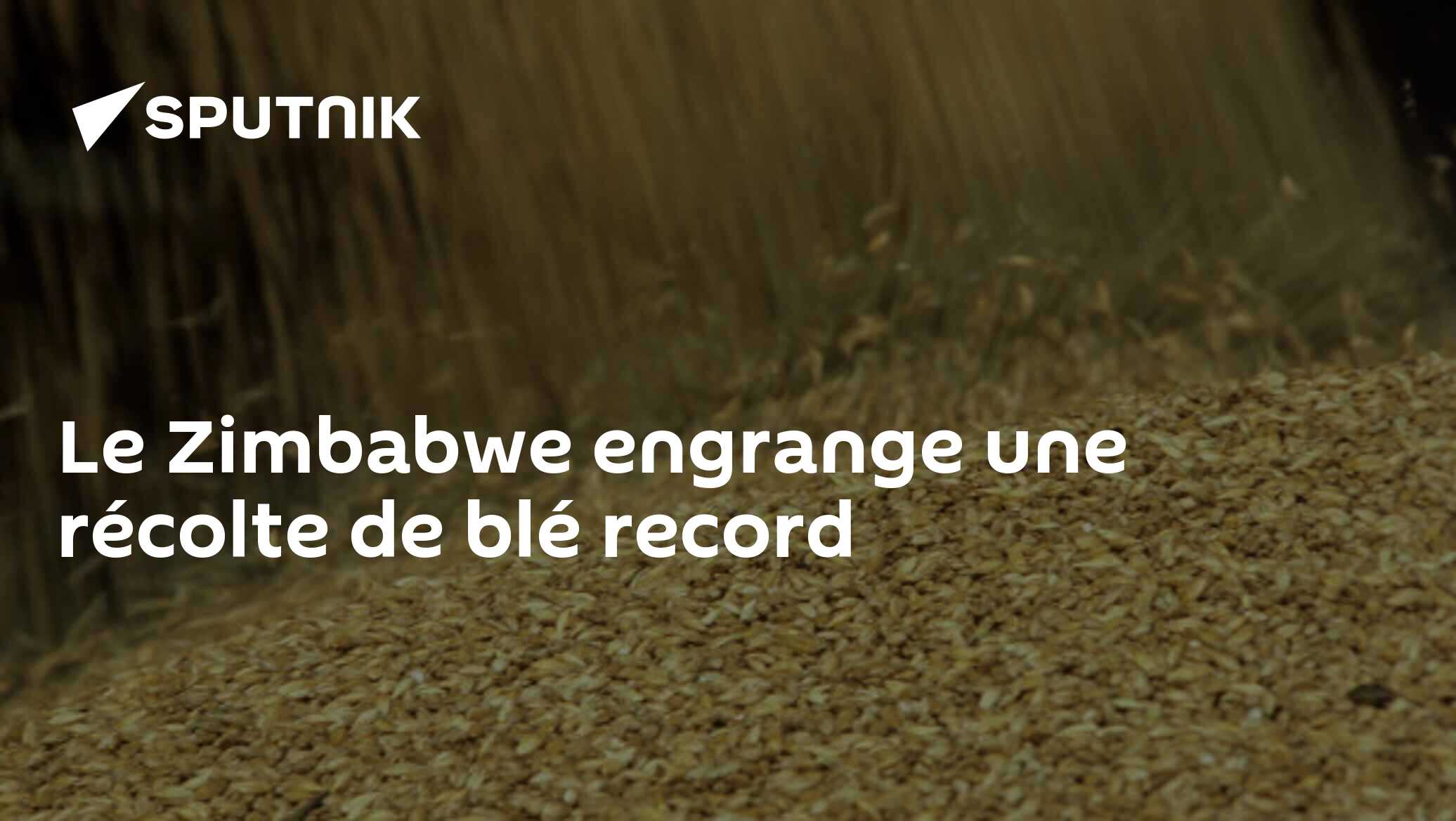 Le Zimbabwe engrange une récolte de blé record - 20.12.2022, Sputnik ...
