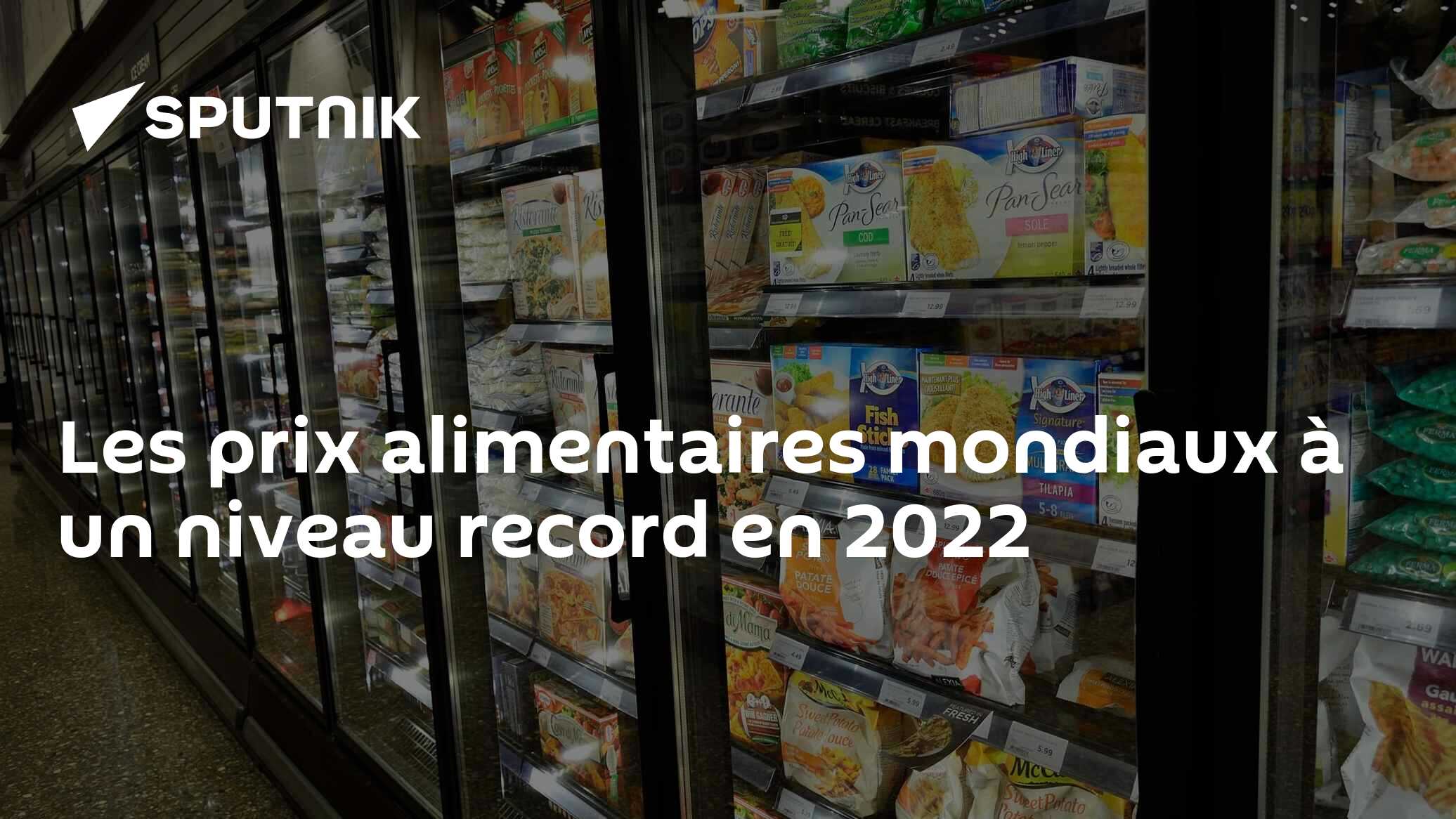 Les prix alimentaires mondiaux à un niveau record en 2022 - 06.01.2023 ...