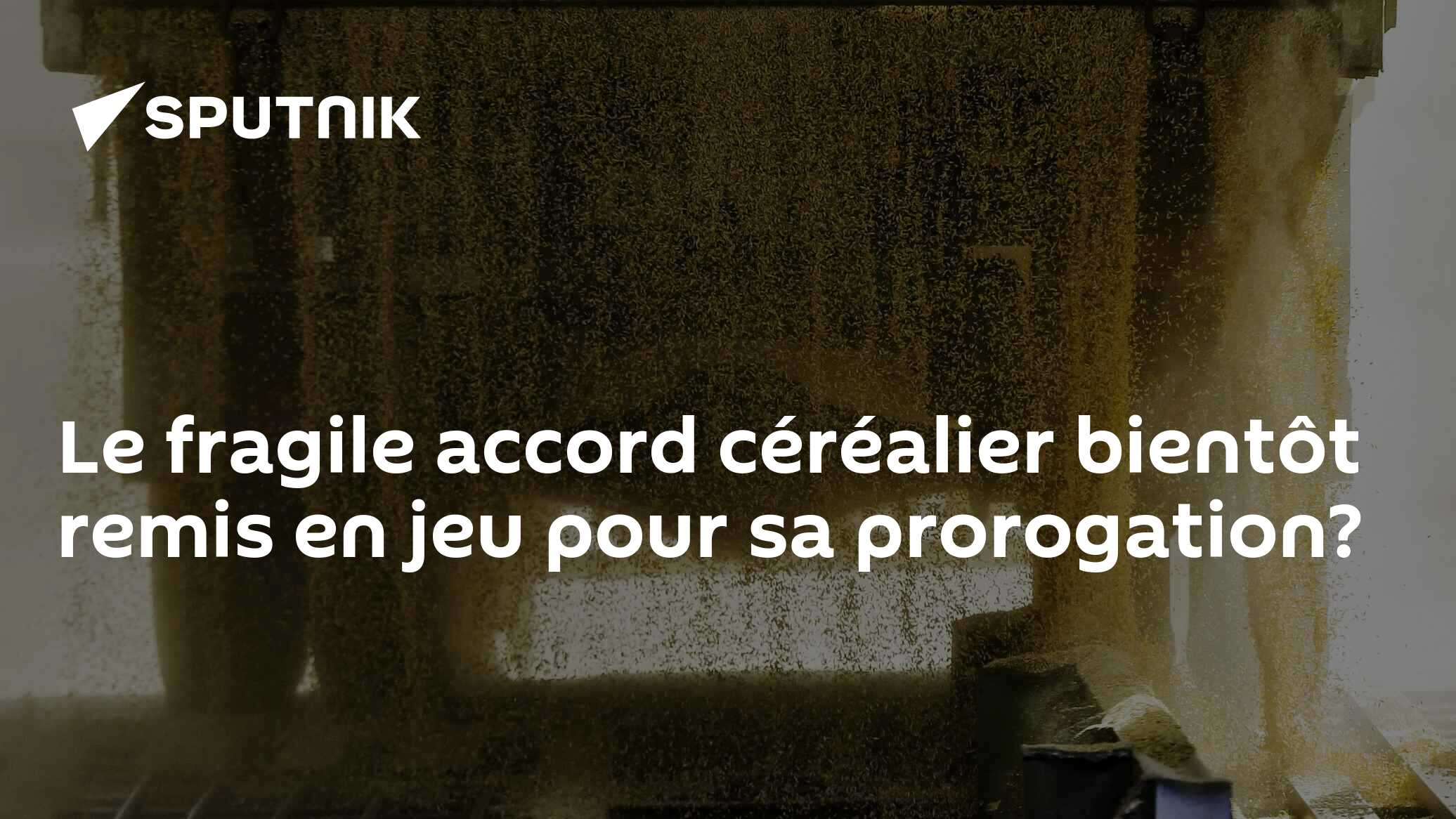 Le fragile accord céréalier bientôt remis en jeu pour sa prorogation? - 01.03.2023, Sputnik Afrique