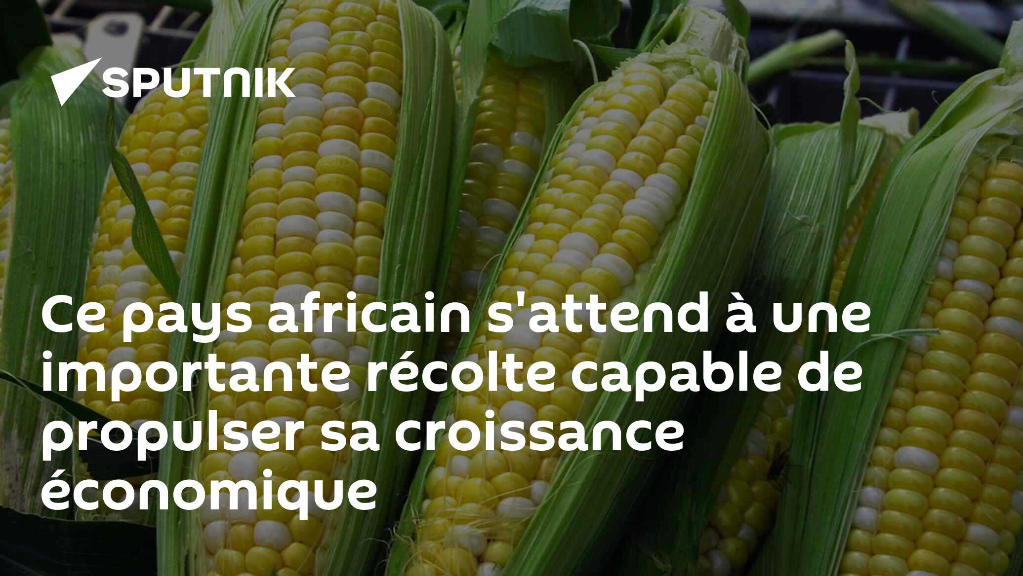 Ce pays africain s'attend à une importante récolte capable de propulser sa croissance économique ...