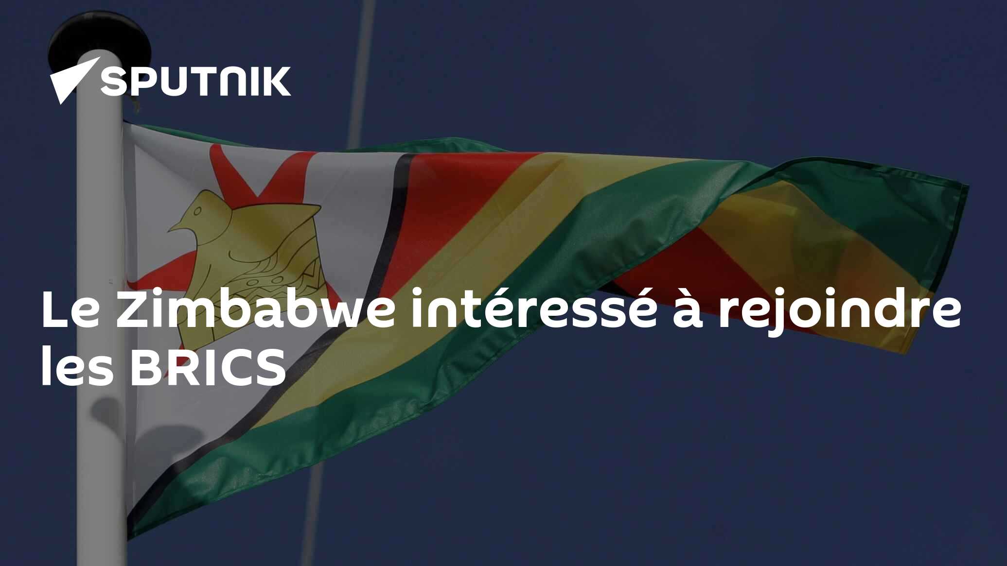 Le Zimbabwe intéressé à rejoindre les BRICS - 23.05.2023, Sputnik Afrique