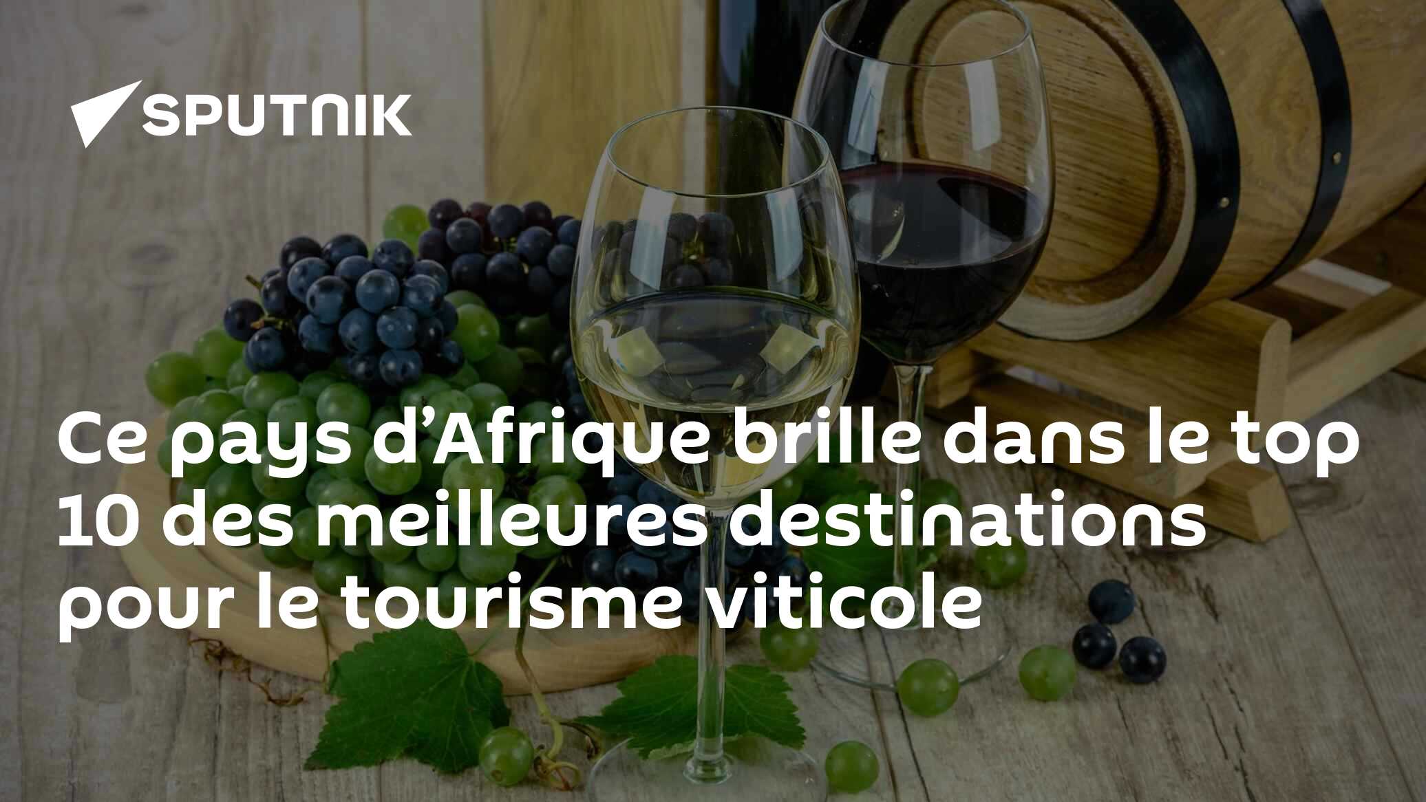 Ce pays d’Afrique brille dans le top 10 des meilleures destinations pour le tourisme viticole ...