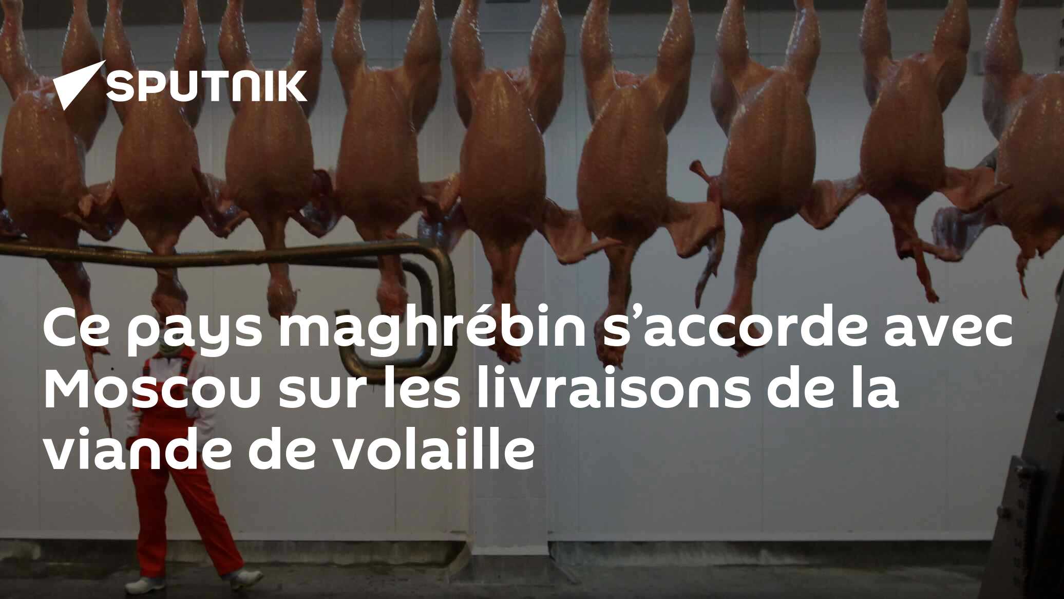 Ce pays maghrébin s’accorde avec Moscou sur les livraisons de la viande ...