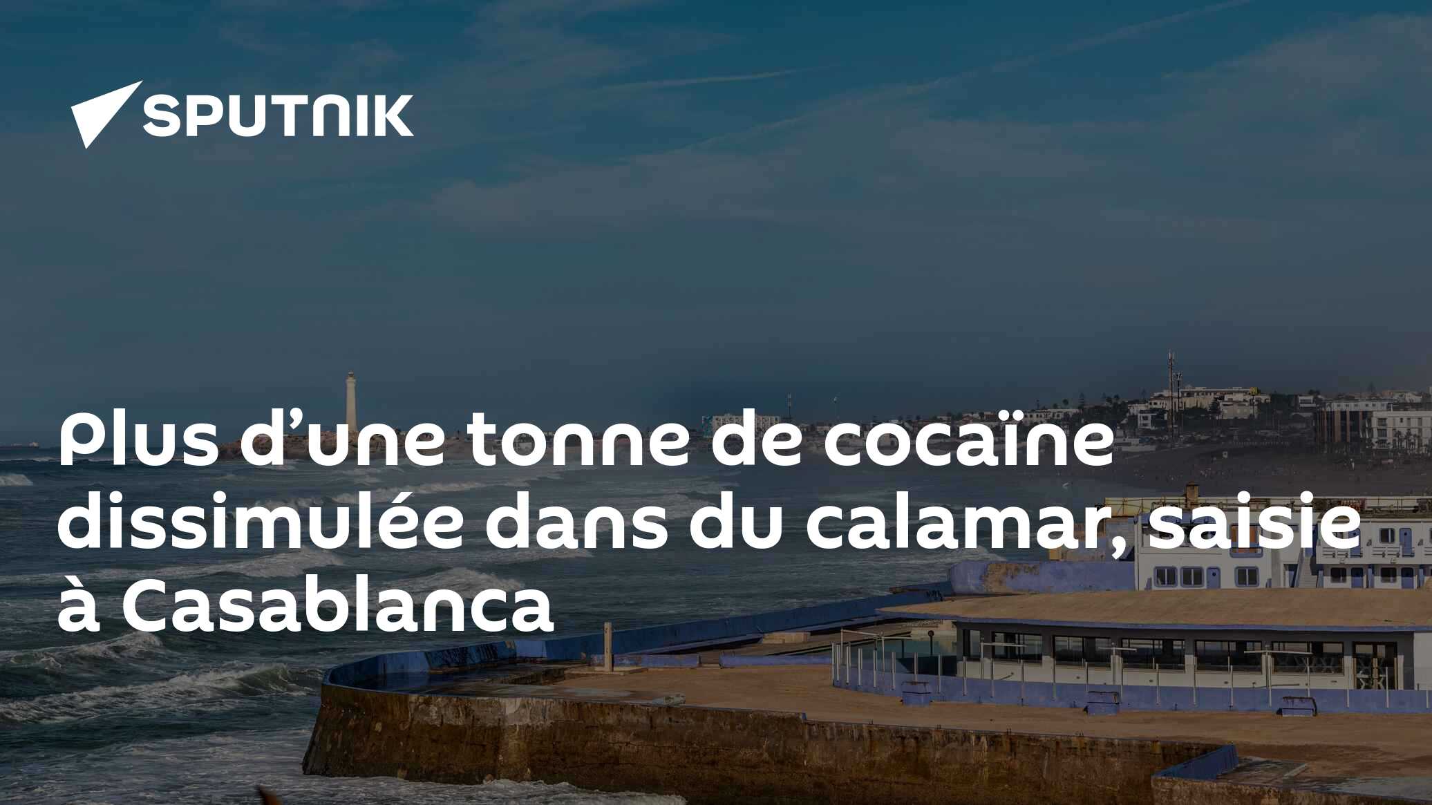 Plus d’une tonne de cocaïne dissimulée dans du calamar, saisie à Casablanca - 22.10.2023 ...