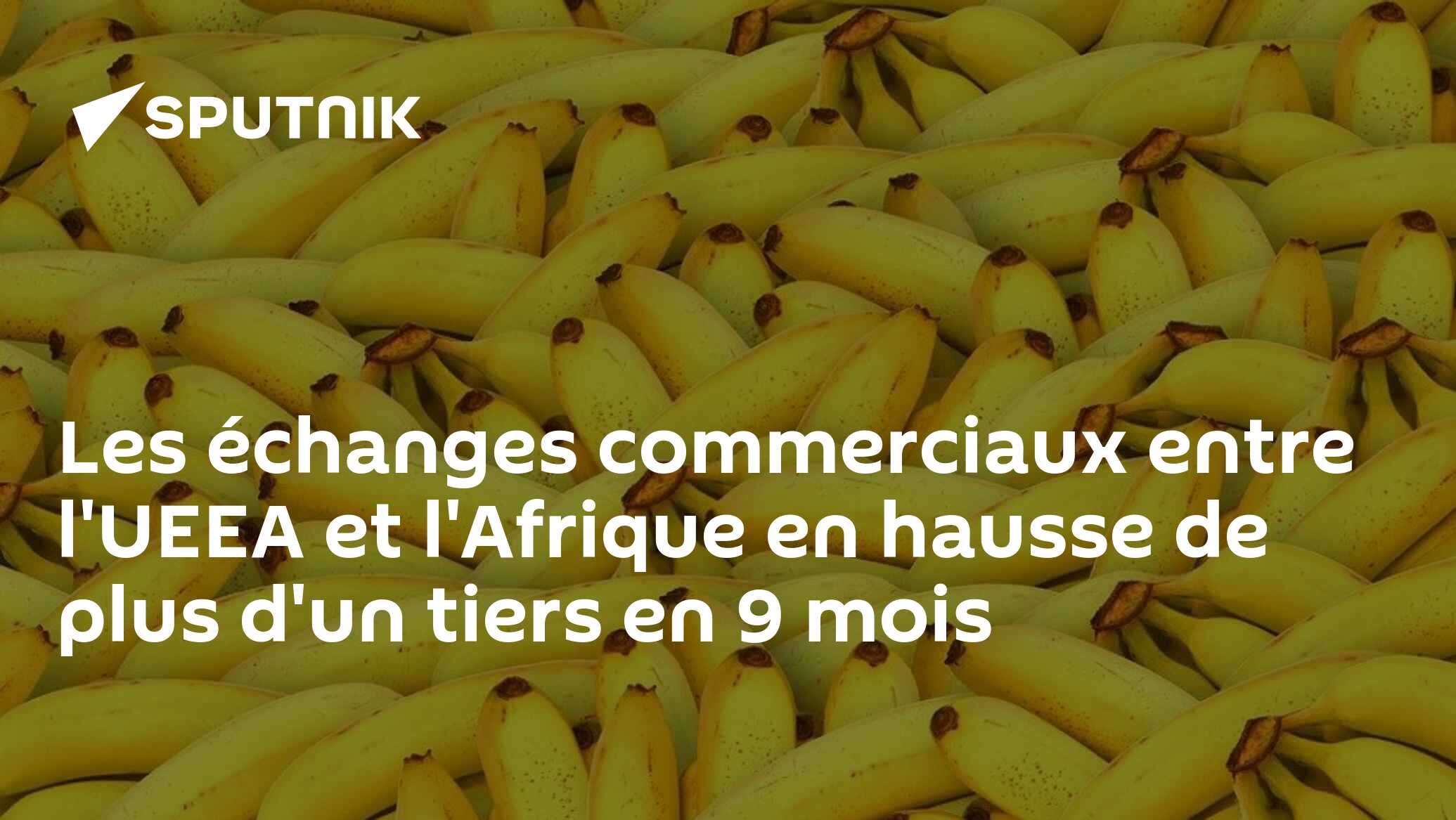 Les échanges commerciaux entre l'UEEA et l'Afrique en hausse de plus d'un tiers en 9 mois - 10. ...