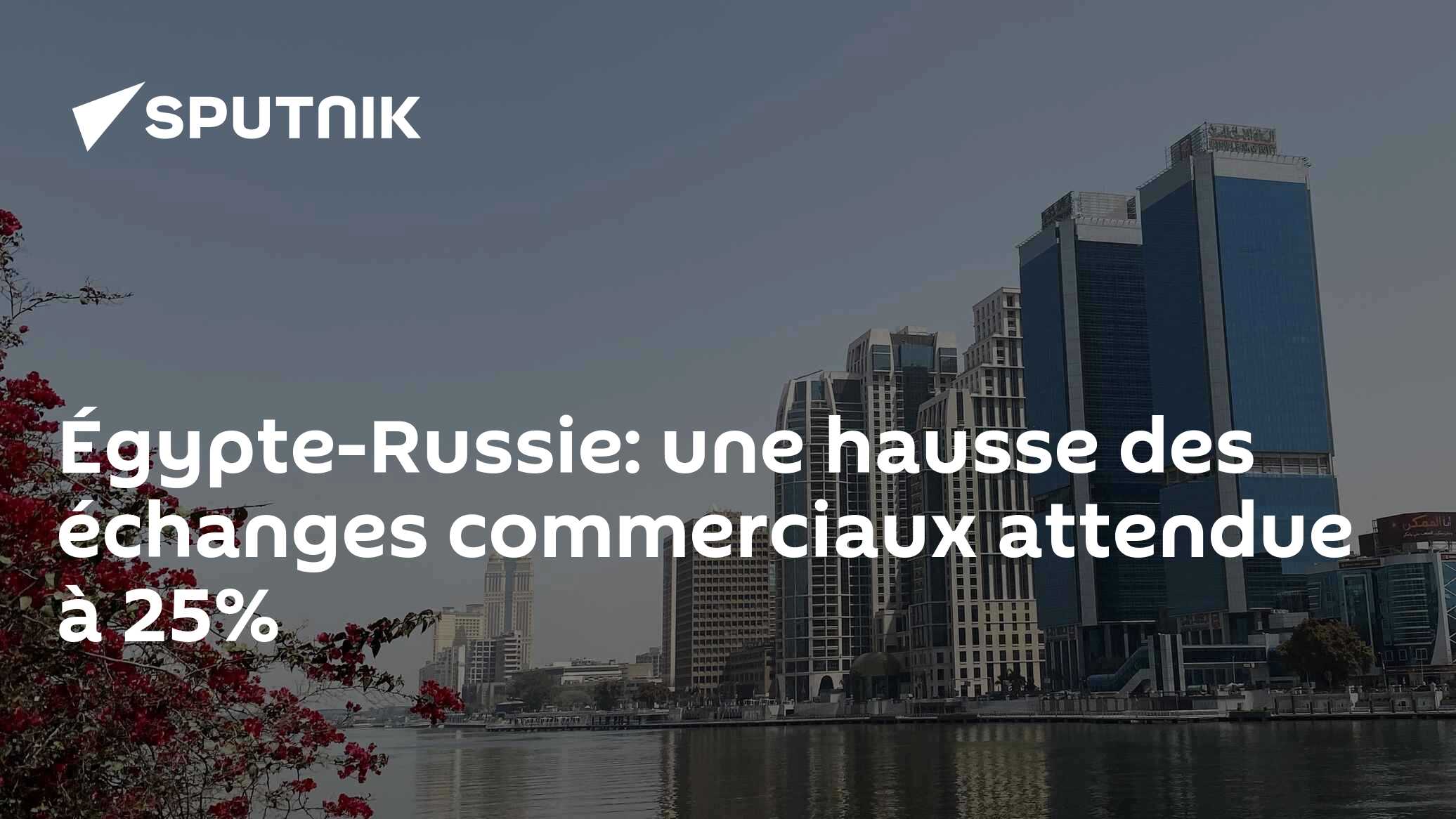 Égypte-Russie: une hausse des échanges commerciaux attendue à 25% - 31.12.2023, Sputnik Afrique
