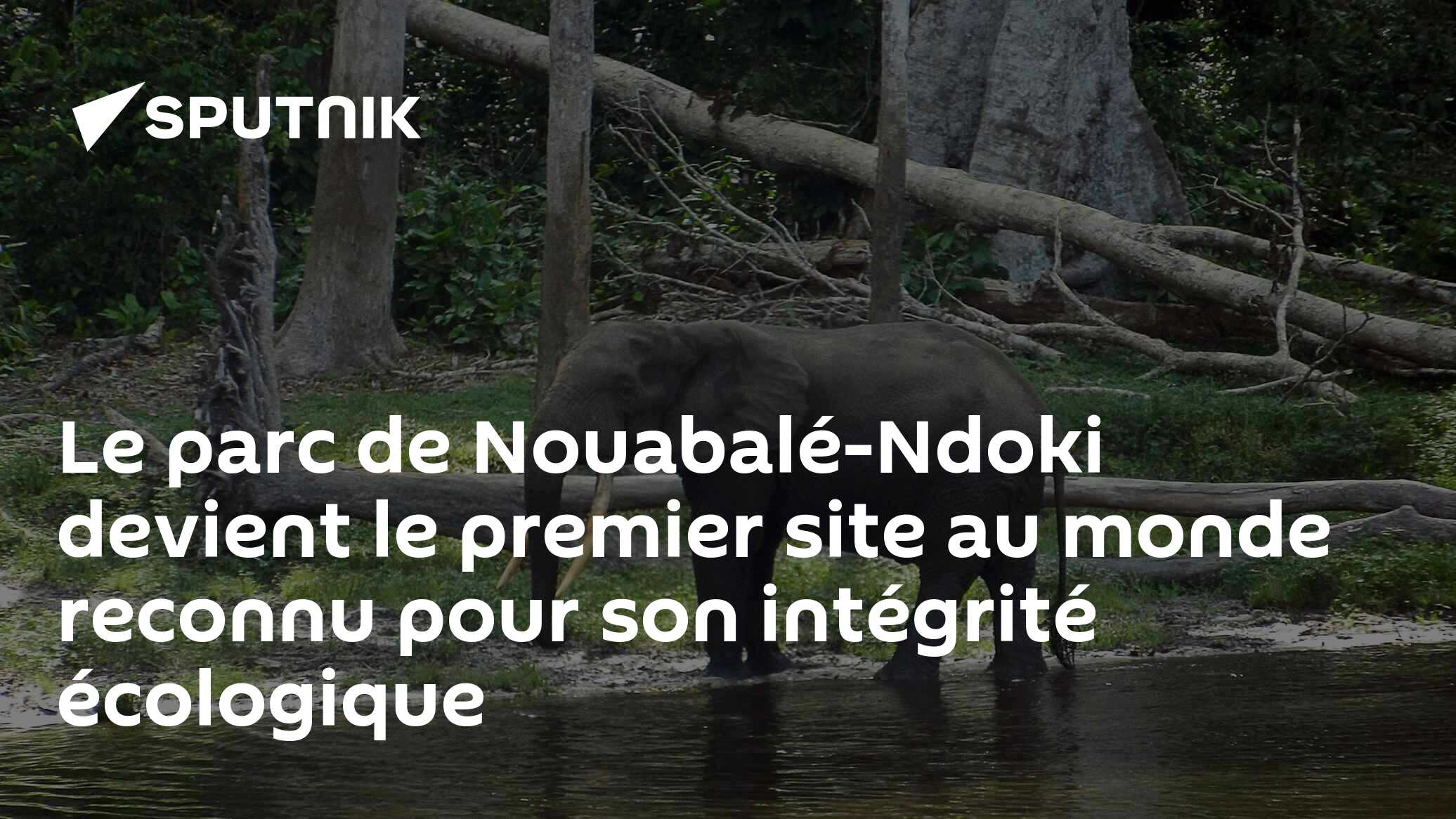Le parc de Nouabalé-Ndoki devient le premier site au monde reconnu pour ...
