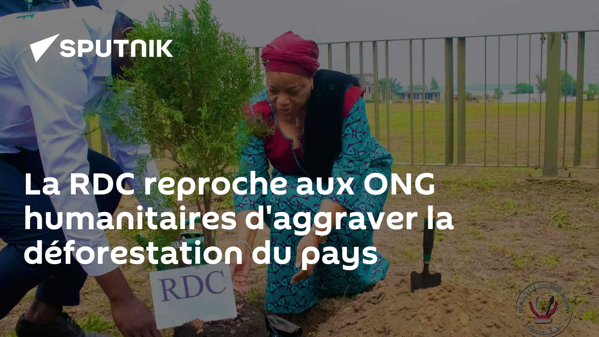 La RDC reproche aux ONG humanitaires d'aggraver la déforestation du ...