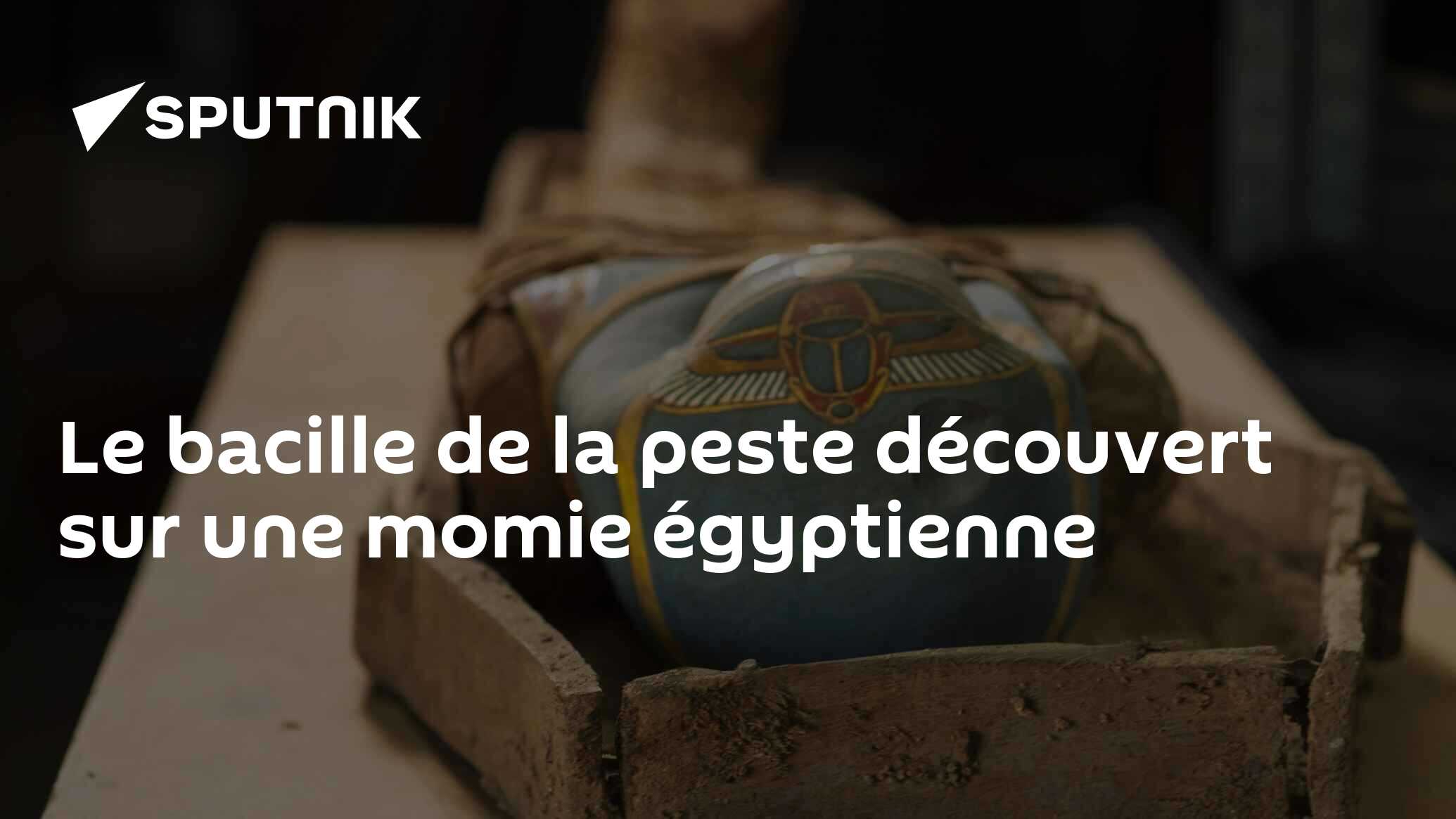 Le bacille de la peste découvert sur une momie égyptienne - 26.12.2024 ...