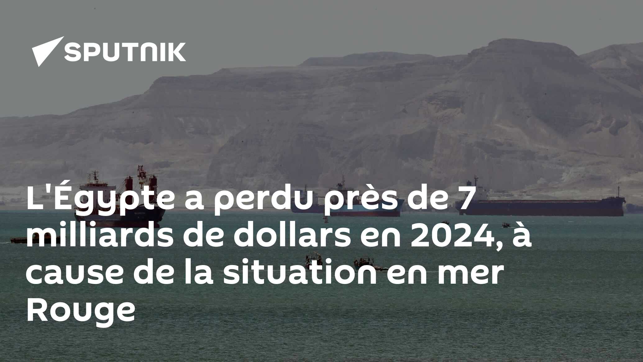 L'Égypte a perdu près de 7 milliards de dollars en 2024, à cause de la situation en mer Rouge ...