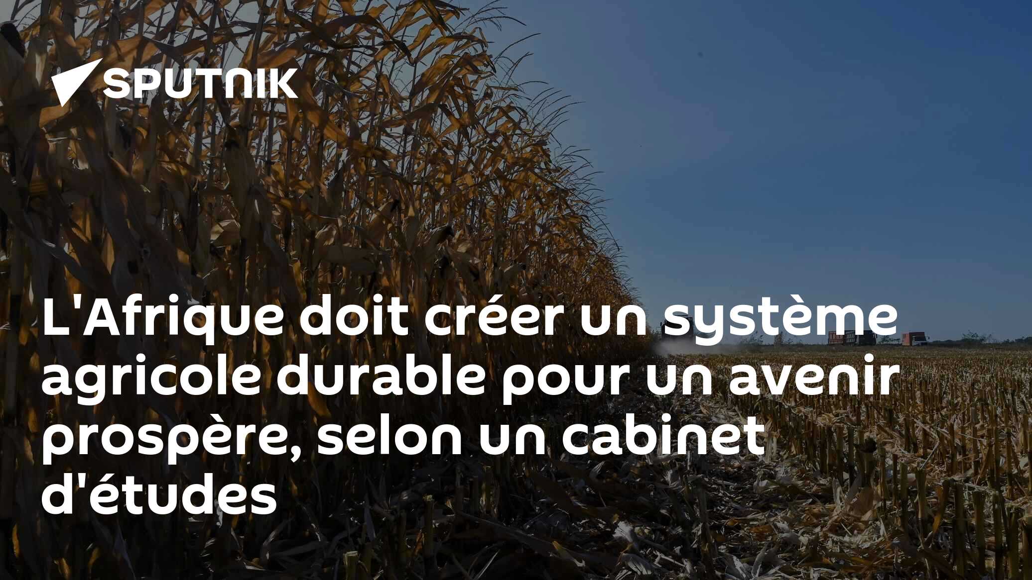 L'Afrique doit créer un système agricole durable pour un avenir ...